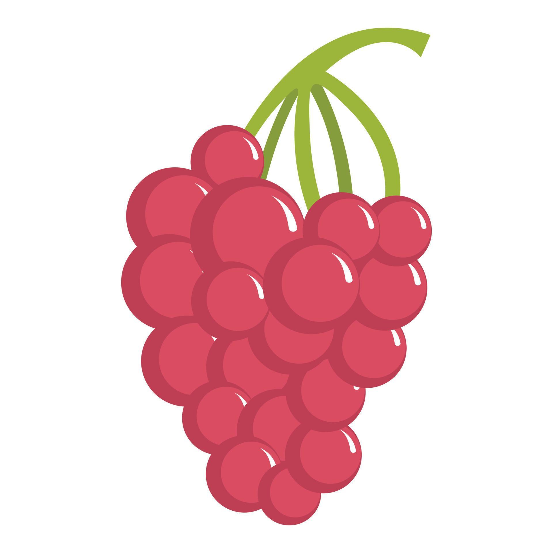 Grape icon, cartoon style 14527370 Vector Art at Vecteezy Grape icon, cartoon style 14527370 Vector Art at Vecteezy