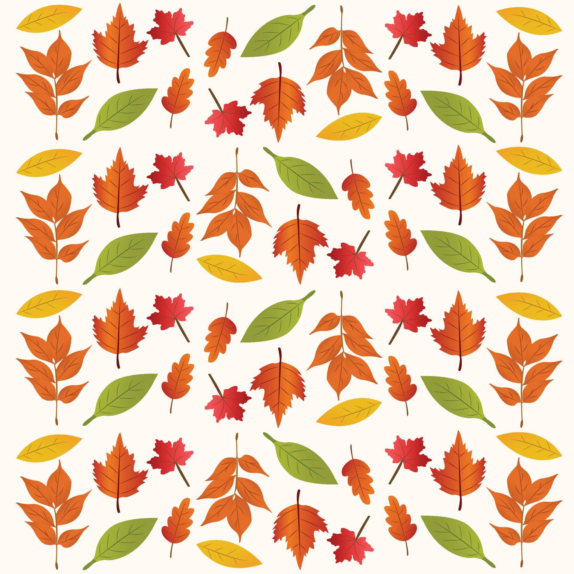 Fall leaves pattern 14538016 Vector Art at Vecteezy