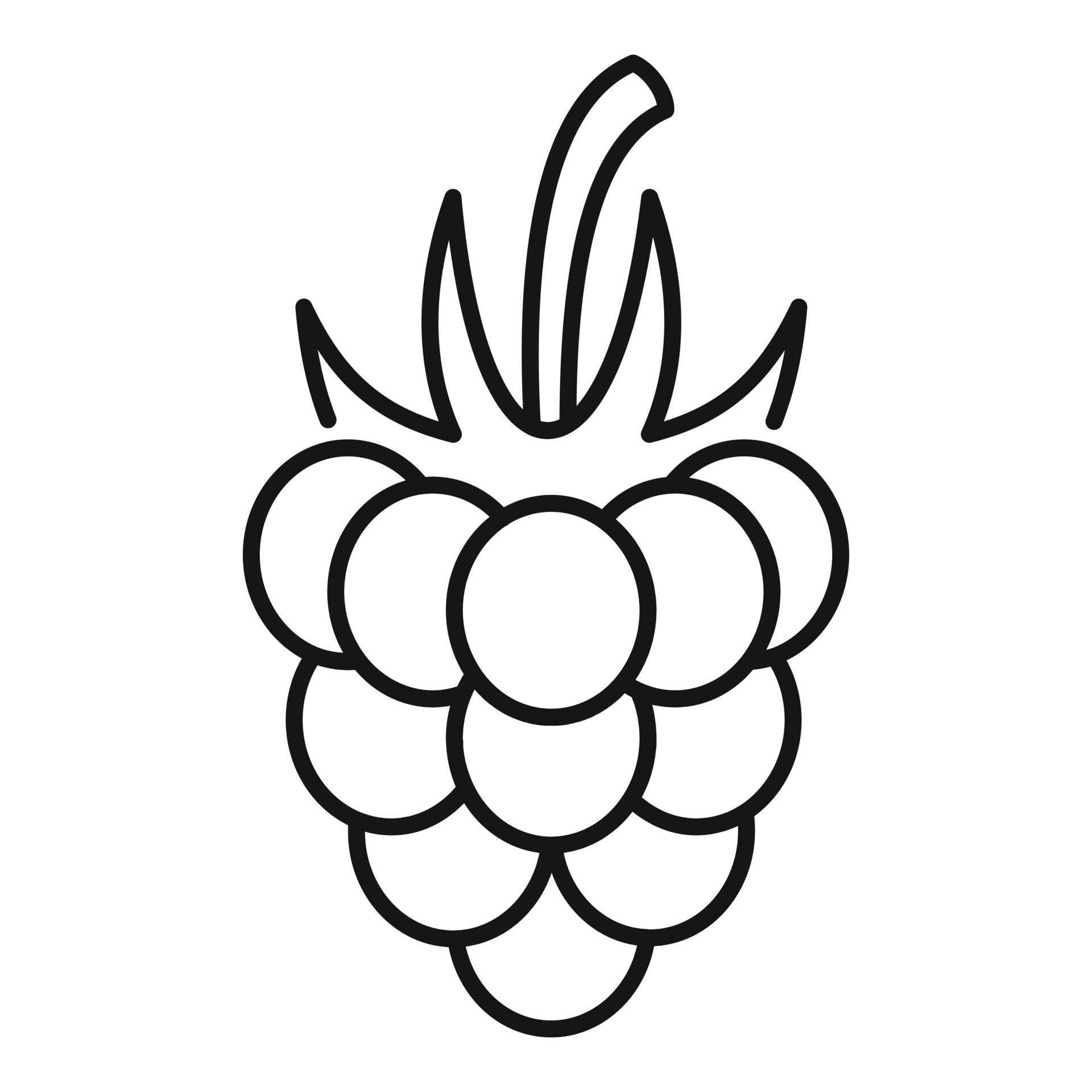 Natural raspberry icon, outline style 14541850 Vector Art at Vecteezy Natural raspberry icon, outline style 14541850 Vector Art at Vecteezy