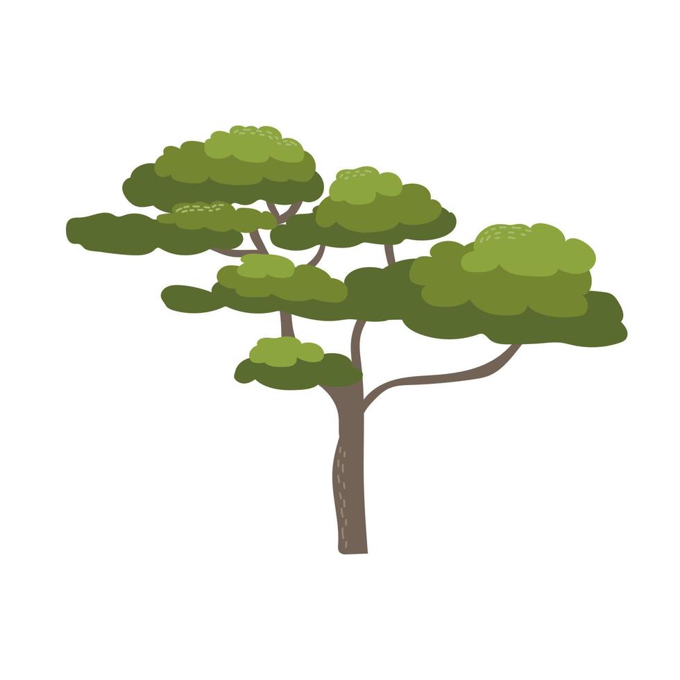 African acacia tree with wide crown flat cartoon style, vector ... African acacia tree with wide crown flat cartoon style, vector ...