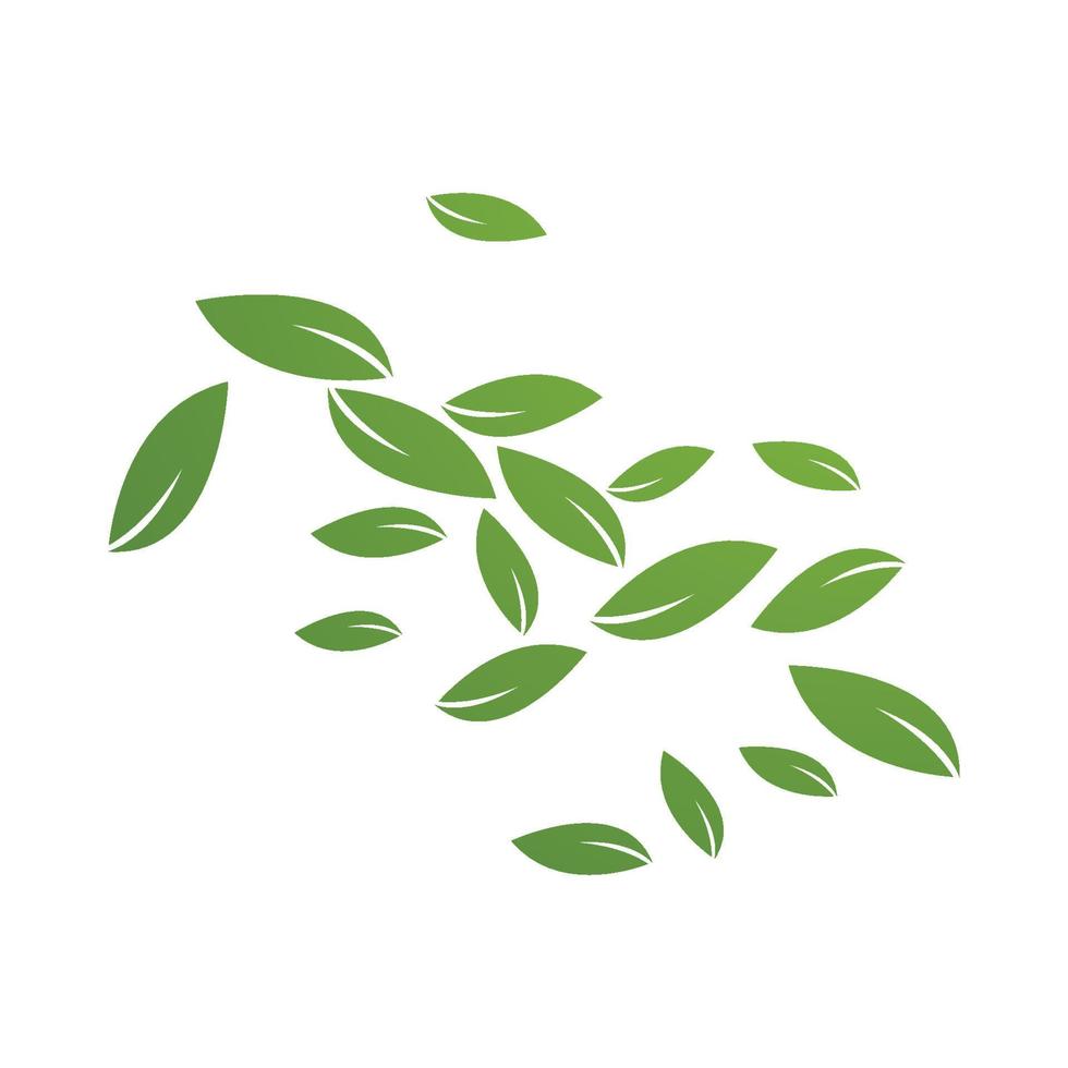 leaf fall vector 14556611 Vector Art at Vecteezy