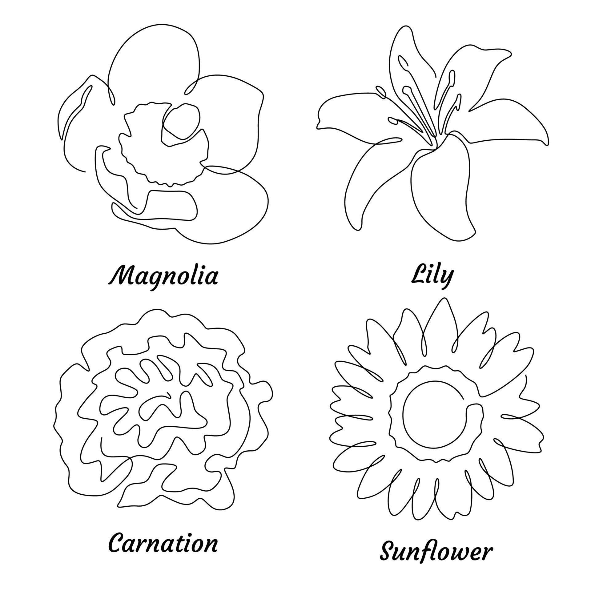 Adobe Illustrator Artwork 14572503 Vector Art At Vecteezy