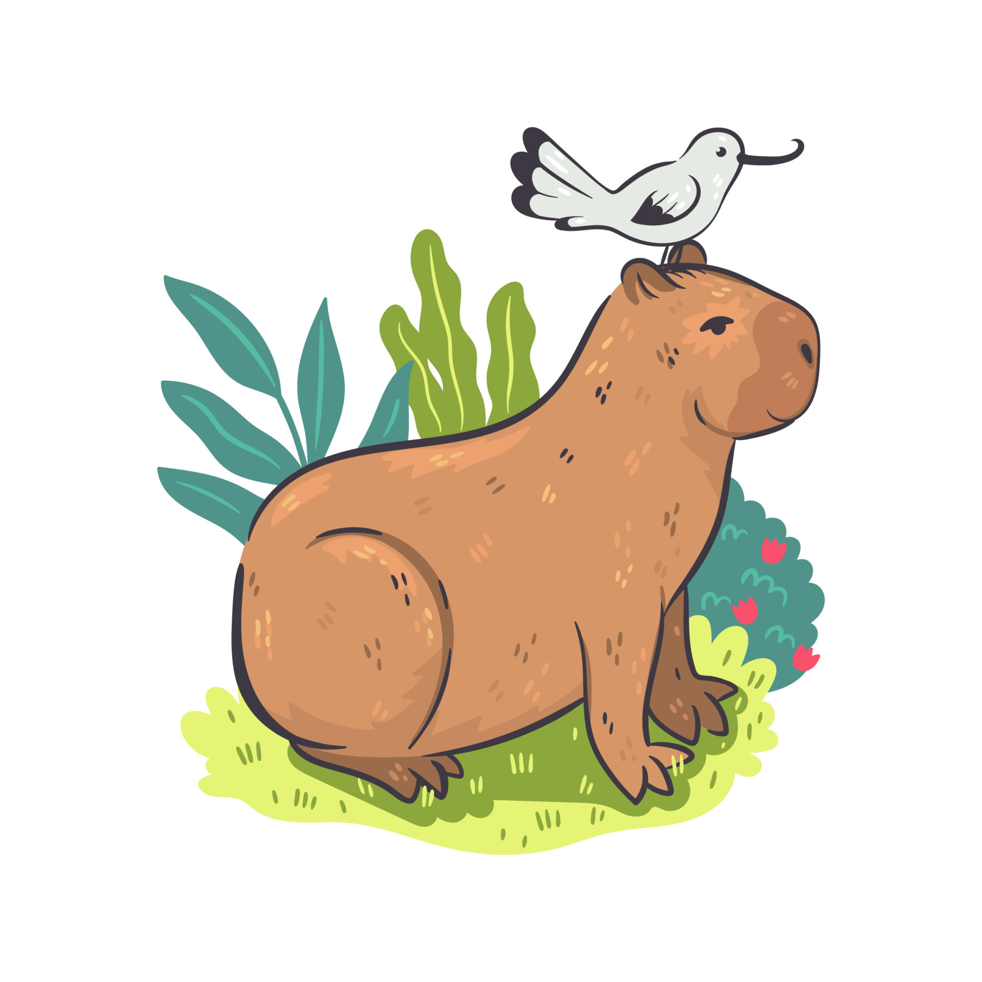 Cute Capybara Isolated On White Background Vector Graphics 14573311