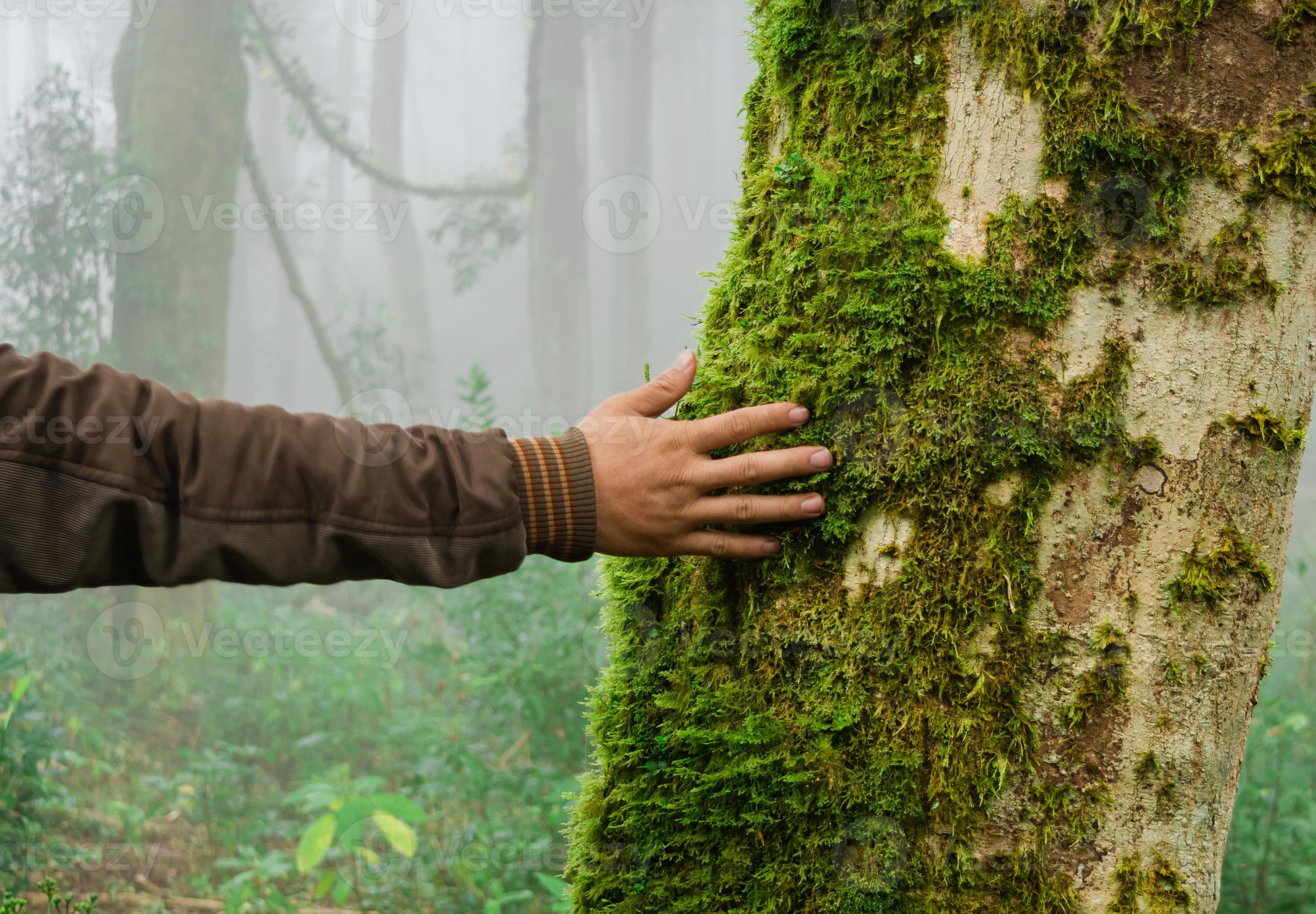 concepto de conexión de personas y naturaleza 14574909 Foto de stock en ... concepto de conexión de personas y naturaleza 14574909 Foto de stock en ...