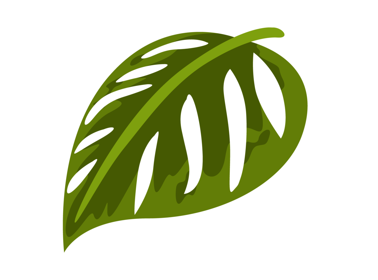 naturaleza - hoja verde 14576596 PNG