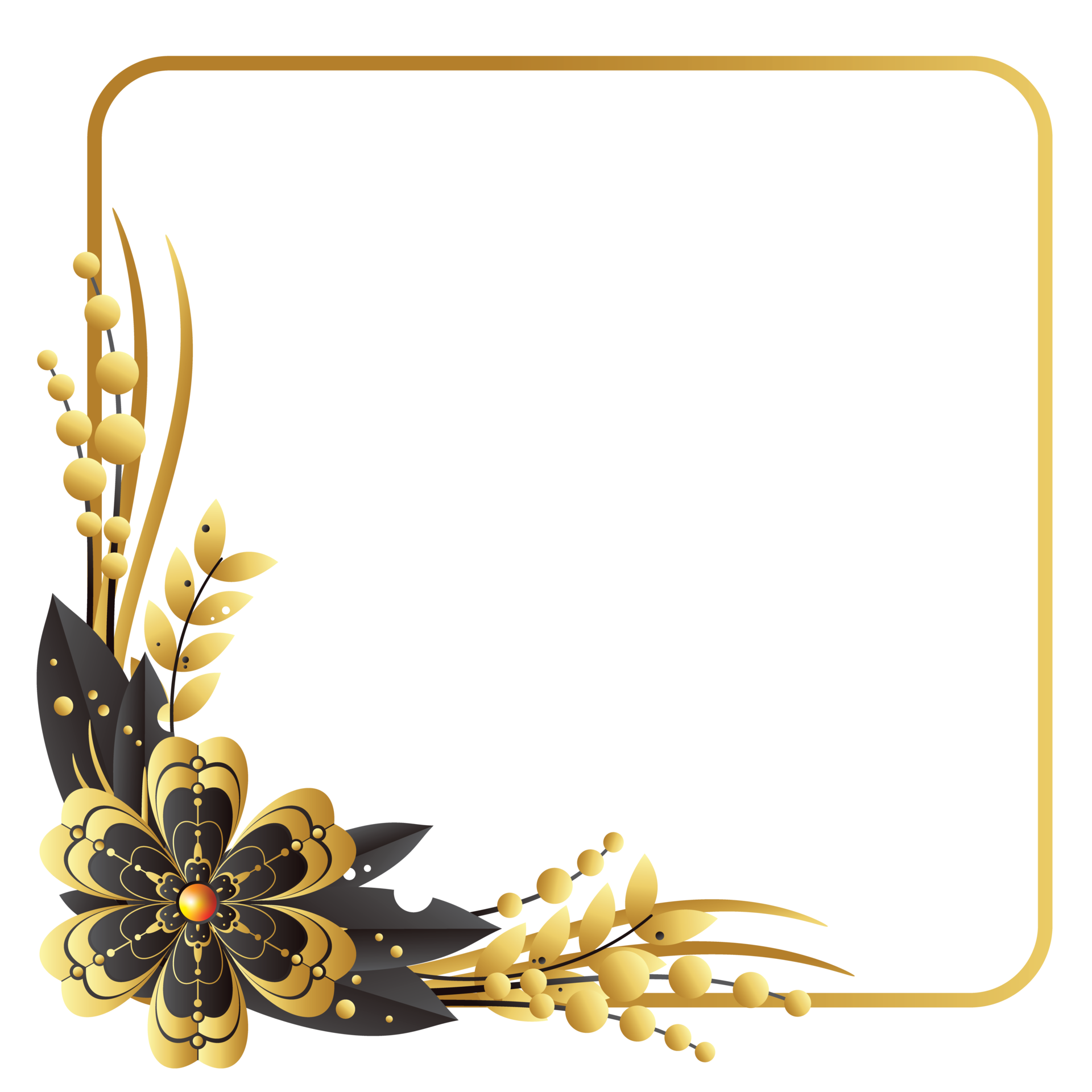 Dry flower on left down corner square frame 14604168 PNG Dry flower on left down corner square frame 14604168 PNG
