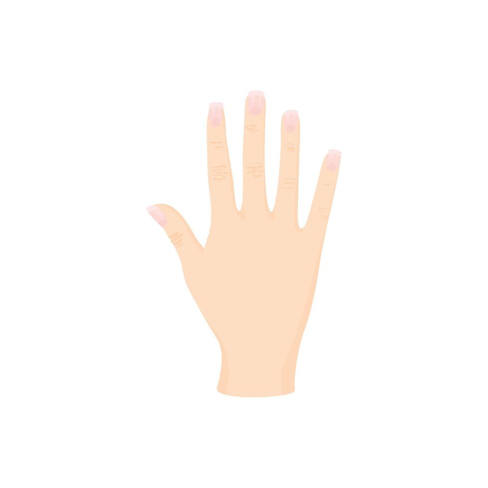 palma abierta del icono de la mano, estilo de dibujos animados 14609765 ... palma abierta del icono de la mano, estilo de dibujos animados 14609765 ...