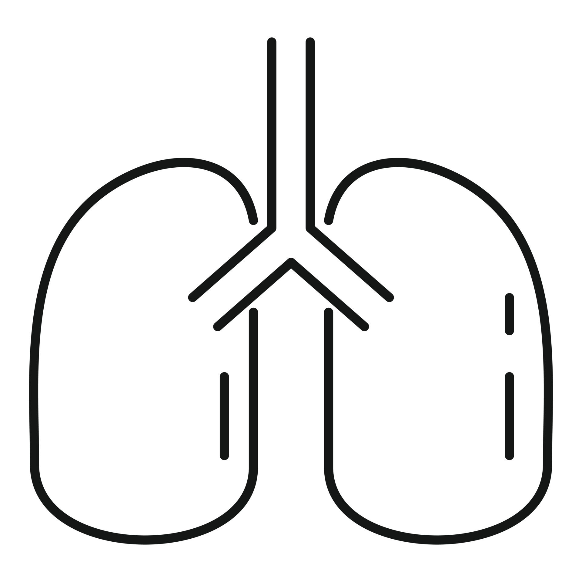 Healthy Lungs Icon Outline Style 14620260 Vector Art At Vecteezy