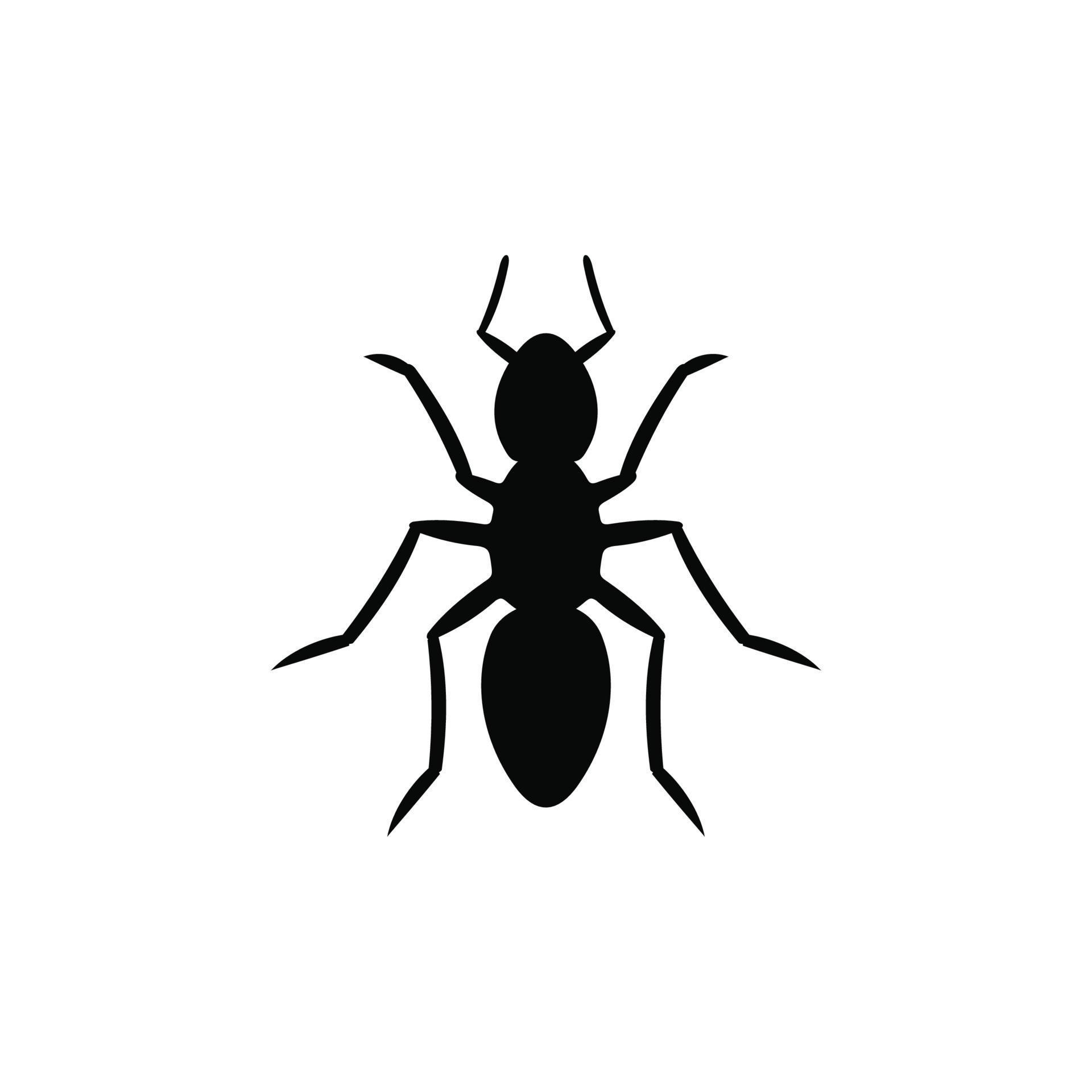 Ant simple flat icon vector 14635051 Vector Art at Vecteezy Ant simple flat icon vector 14635051 Vector Art at Vecteezy