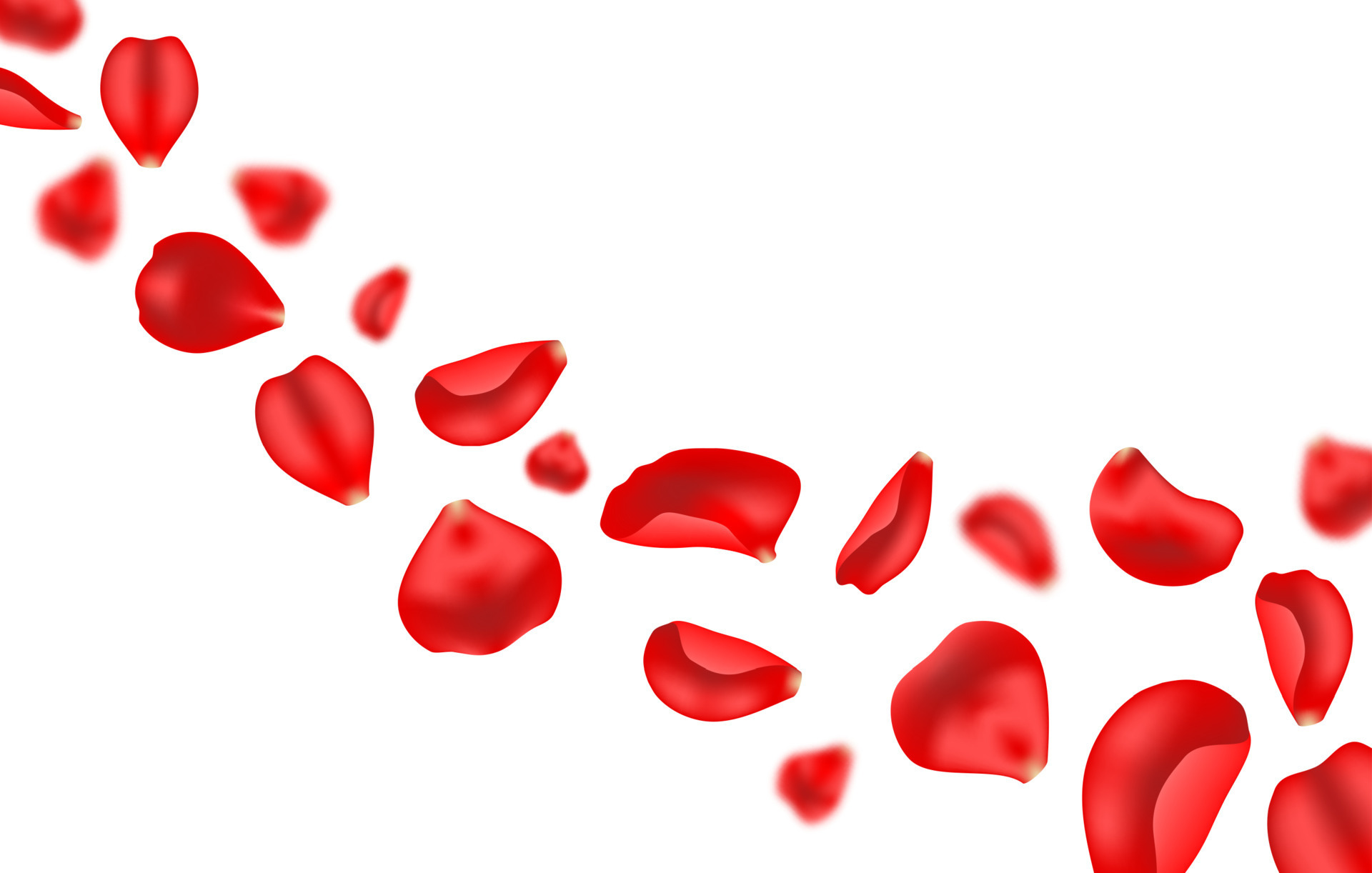 Flying rose petals vector background 14636530 Vector Art at Vecteezy Flying rose petals vector background 14636530 Vector Art at Vecteezy