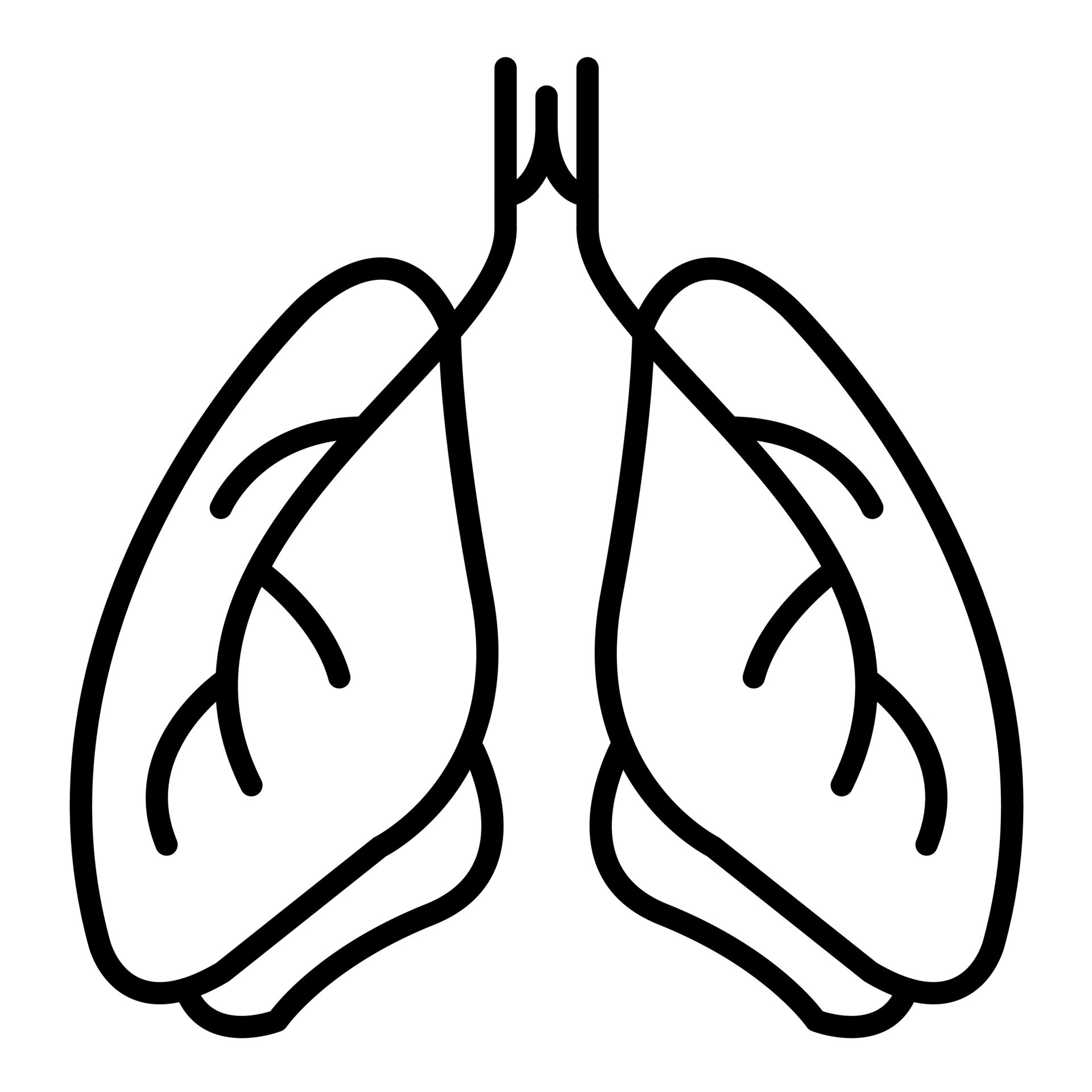 Icono De Línea De Neumología 14640741 Vector En Vecteezy