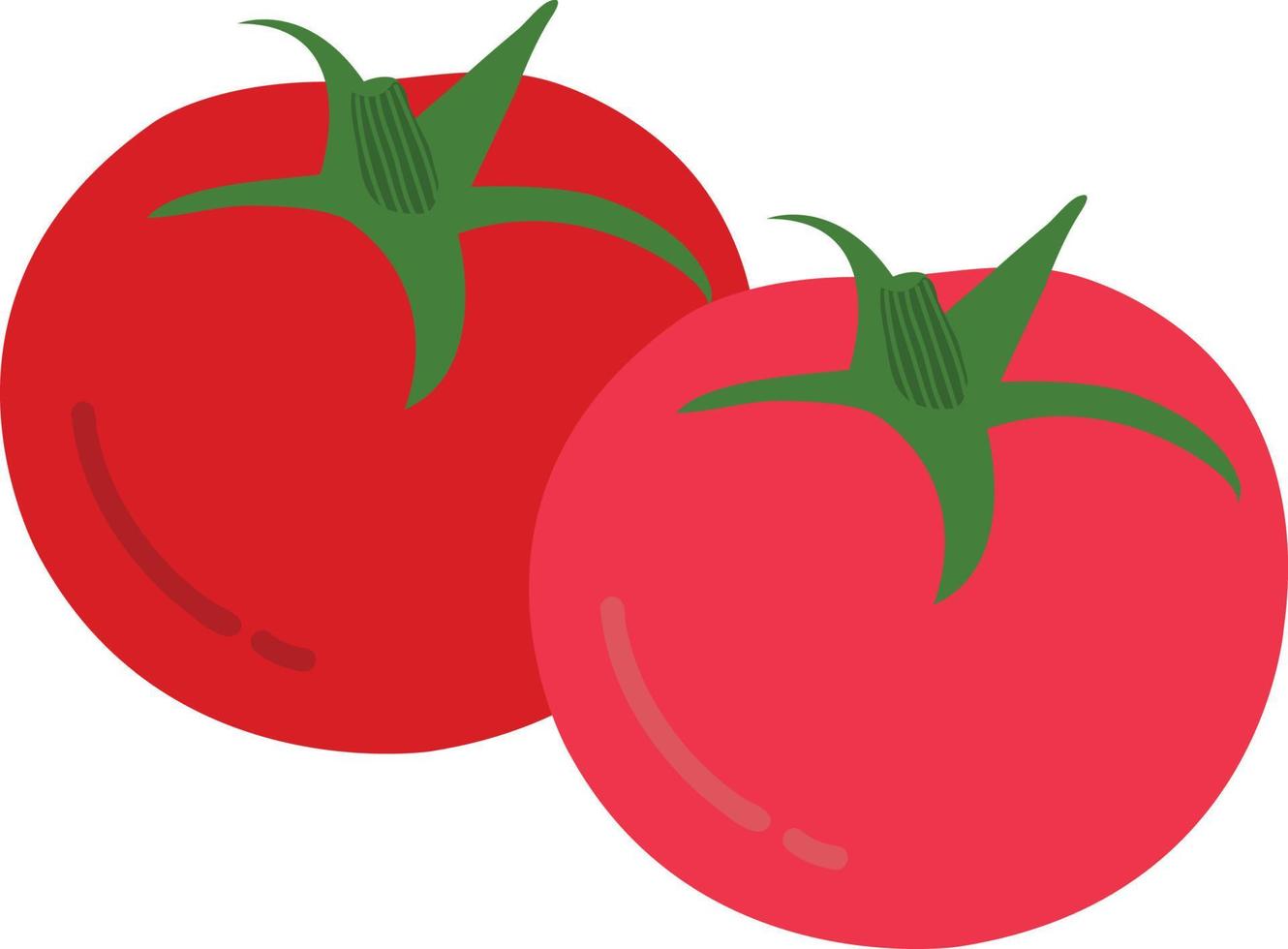 Hand Drawn Style Drawing Tomato 14651728 Vector Art At Vecteezy