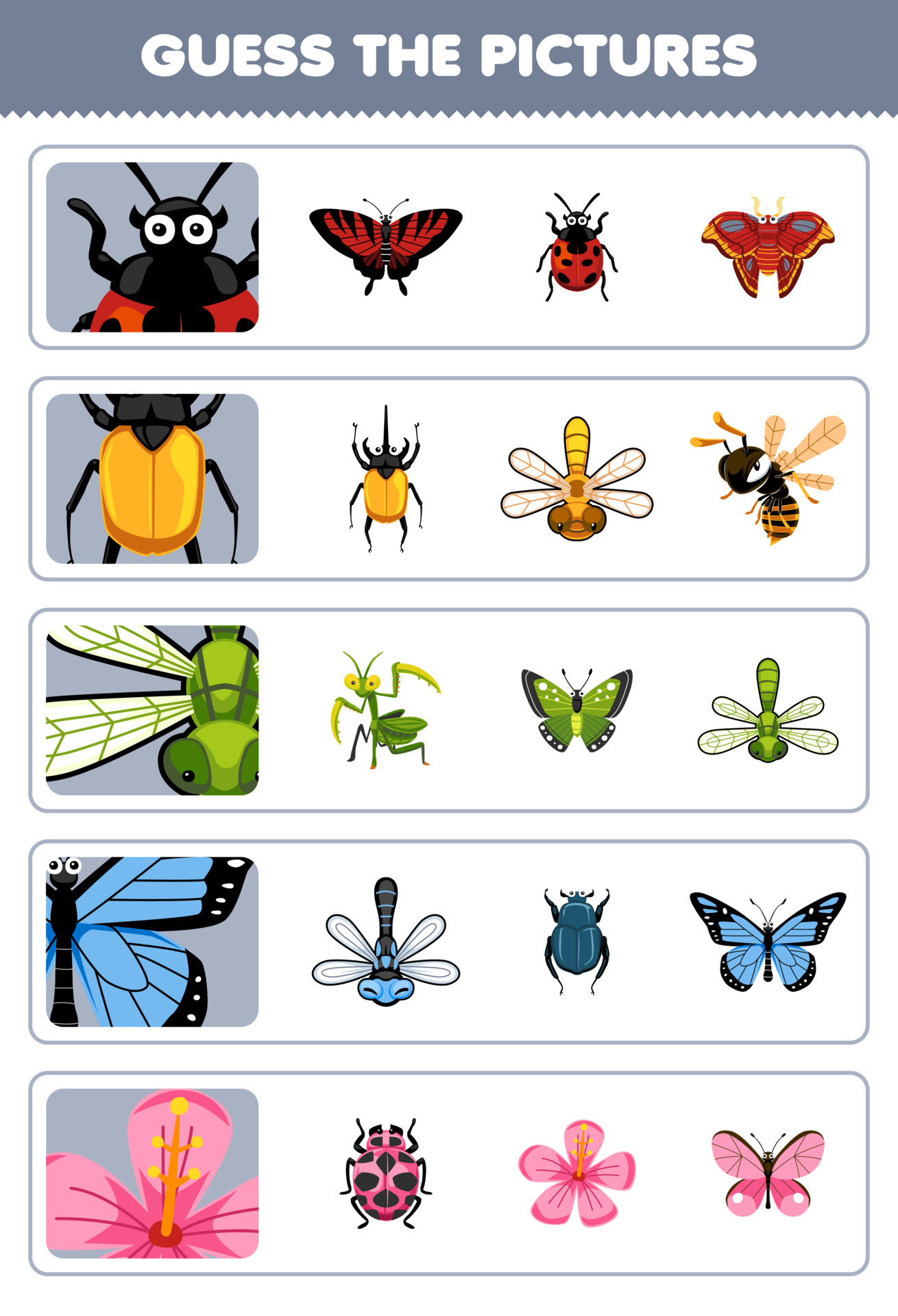 Education game for children guess the correct pictures of cute cartoon ...