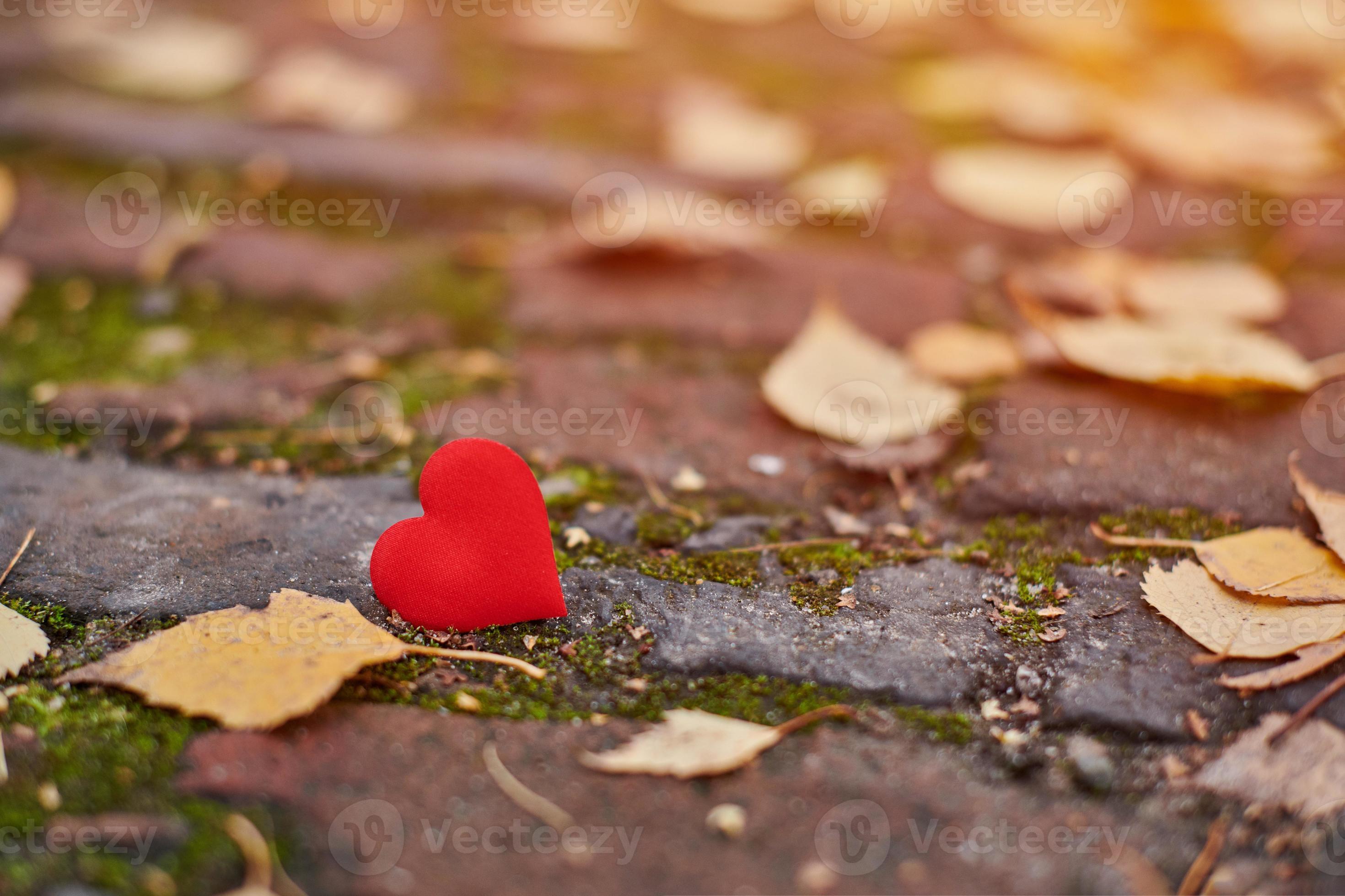 Unrequited, one-sided love or loneliness concept. 14671892 Stock Photo ... Unrequited, one-sided love or loneliness concept. 14671892 Stock Photo ...