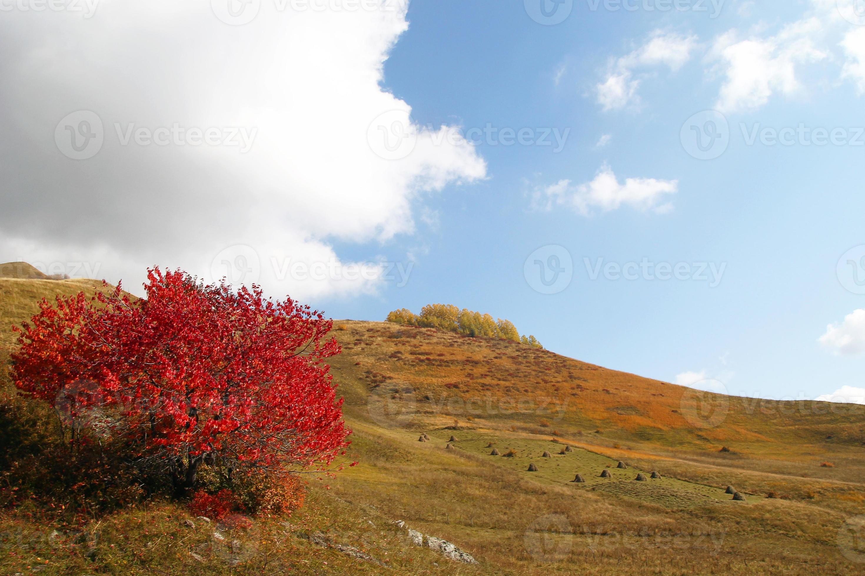 View on countryside in mountains with fields and trees in fall foliage in autumn. Caucasus ...