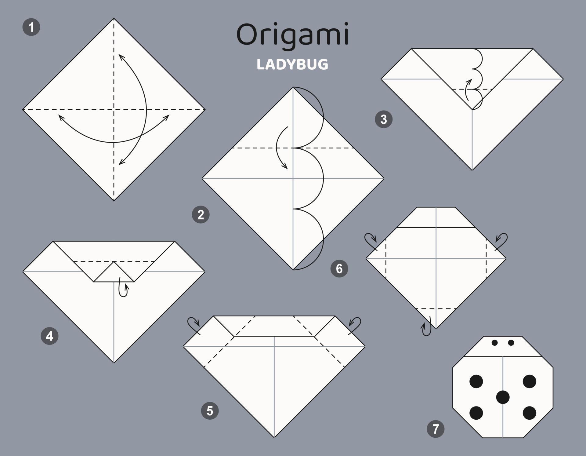 Tutorial ladybug origami scheme. isolated origami elements on grey ... Tutorial ladybug origami scheme. isolated origami elements on grey ...