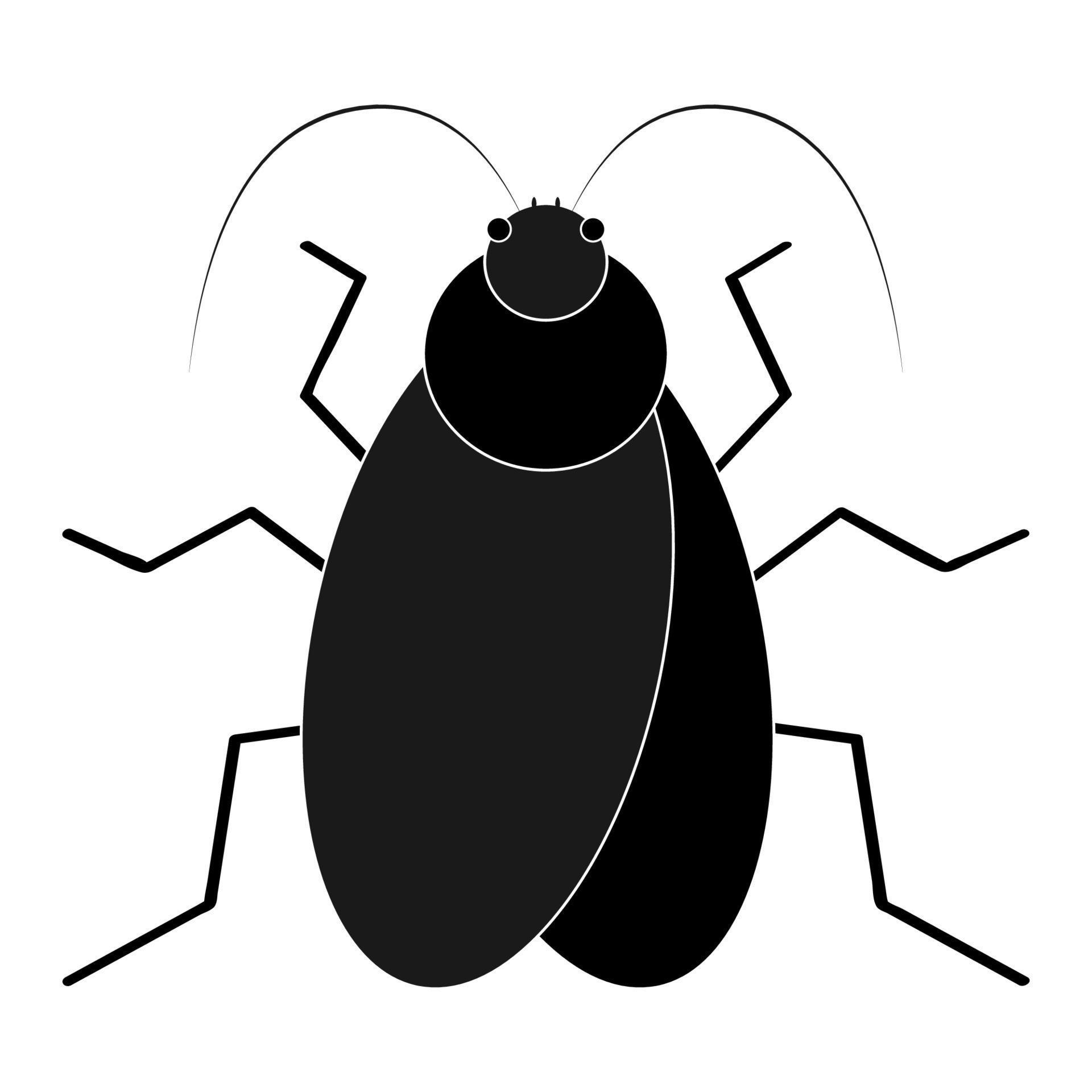 cockroach vector element 14825055 Vector Art at Vecteezy
