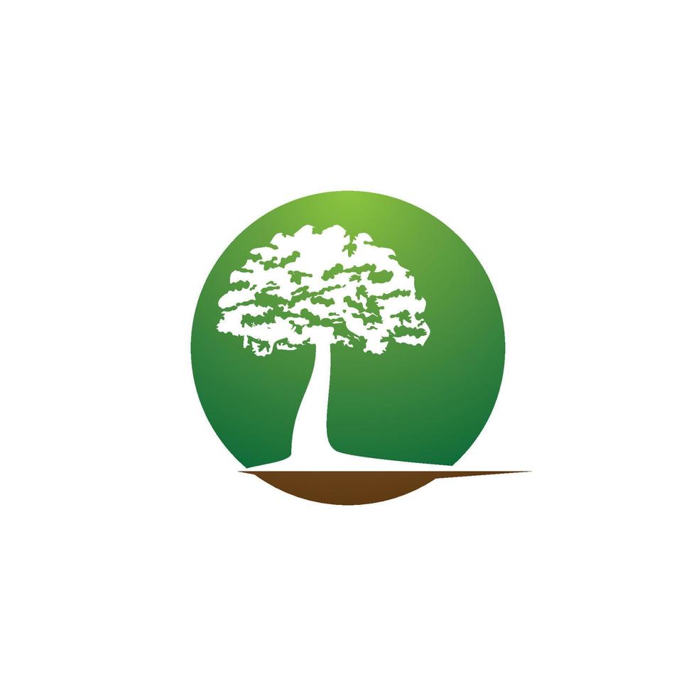 Tree symbol vector icon illustration 14834368 Vector Art at Vecteezy