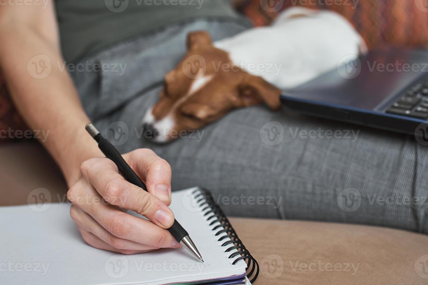 Dog Writing Stock Photos, Images and Backgrounds for Free Download