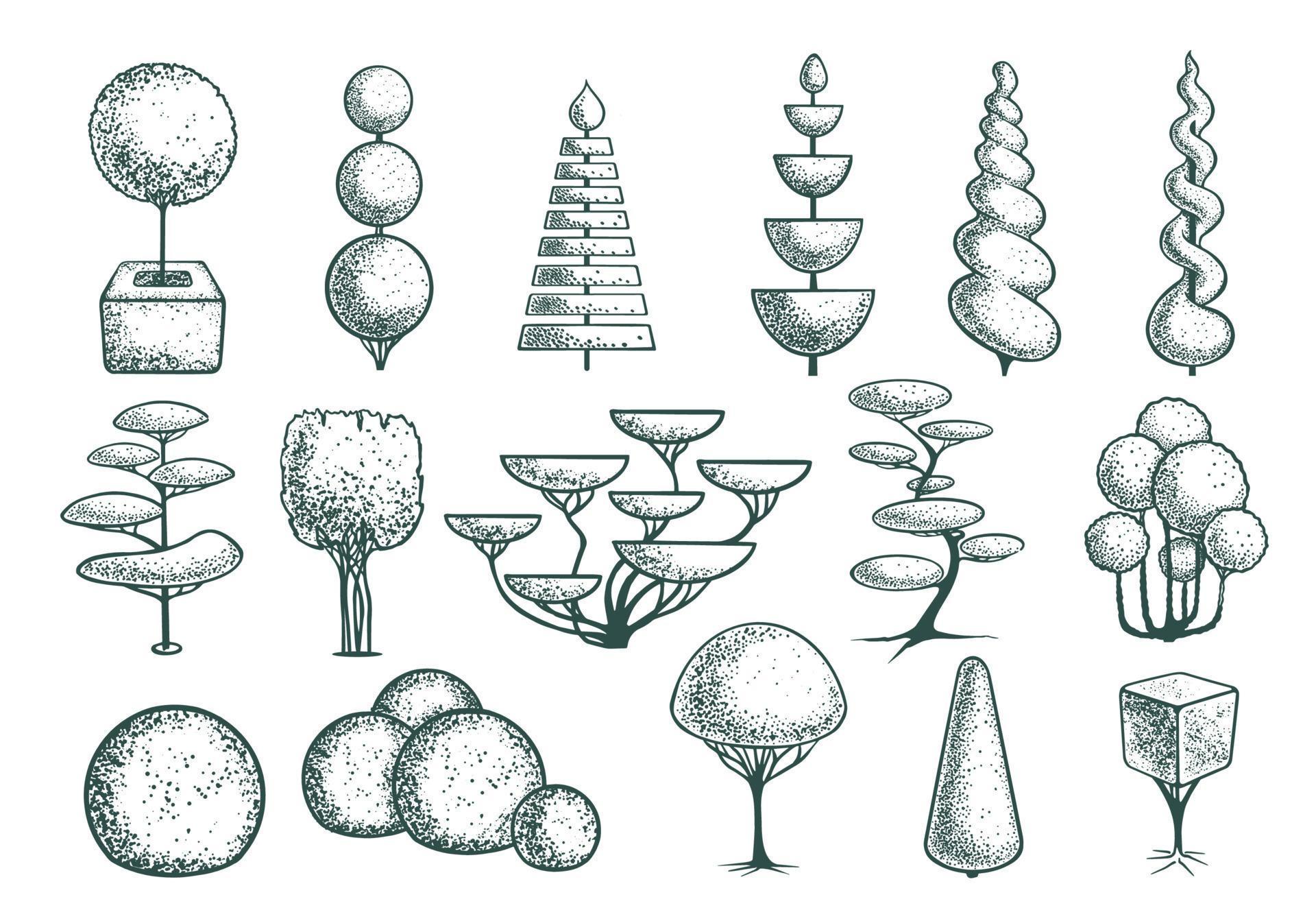 Seth sketch topiary tree shapes. Geometric trees for advertising and ...