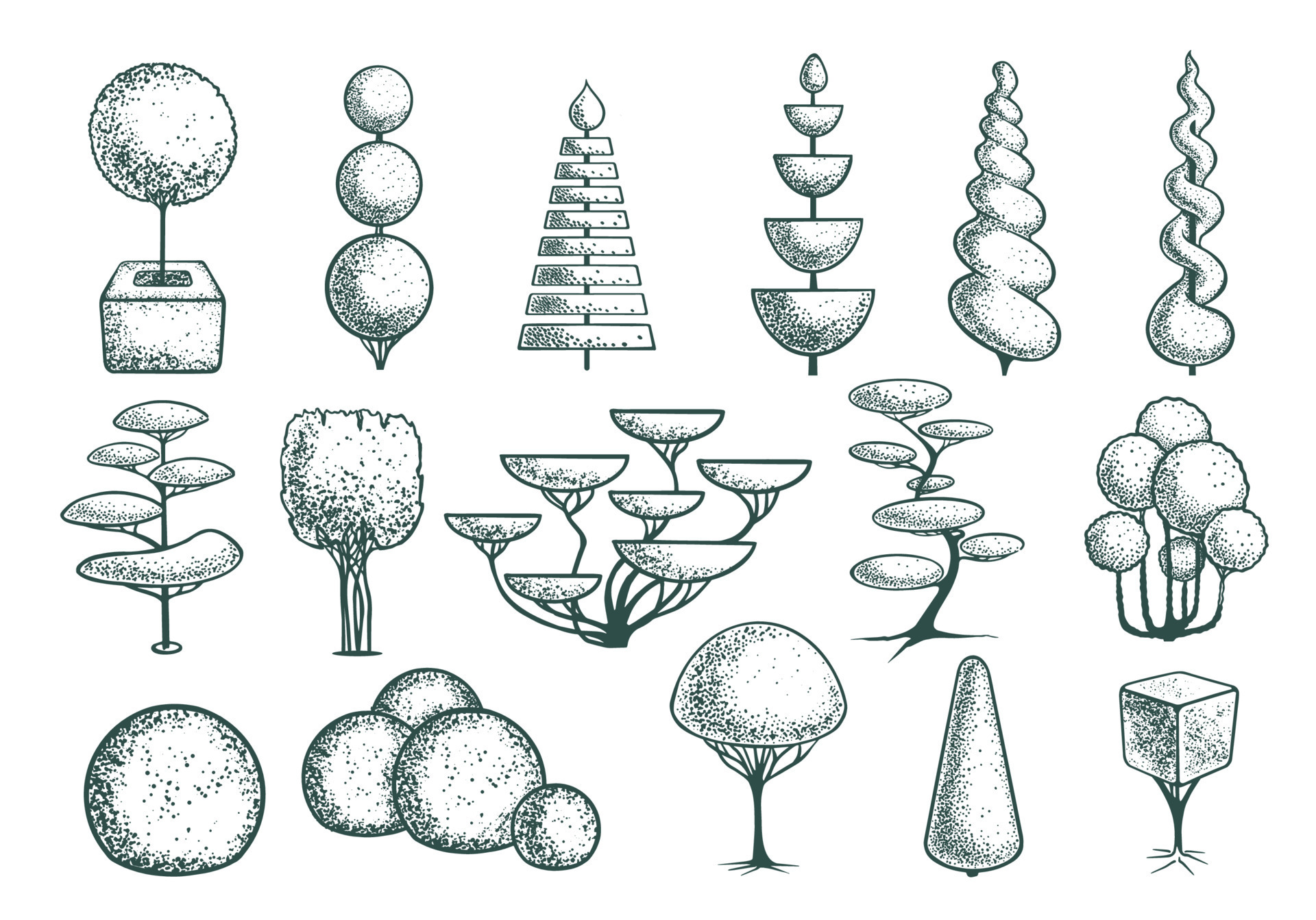 Seth Sketch Topiary Tree Shapes Geometric Trees For Advertising And