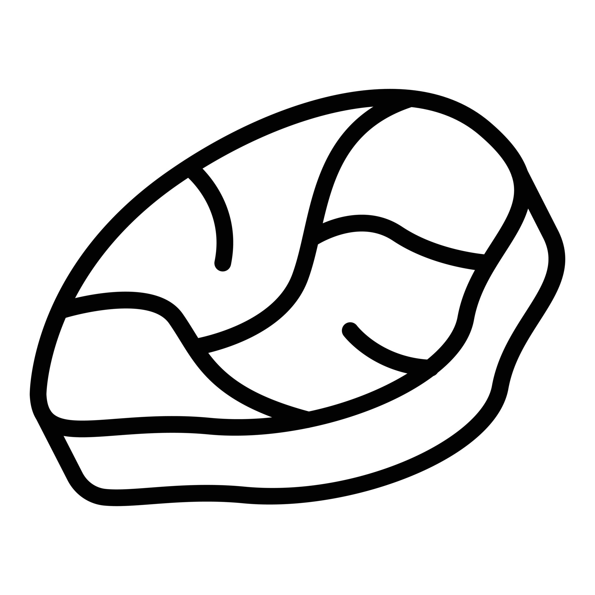 Raw Meat Icon Outline Vector Pork Lamb 14924086 Vector Art At Vecteezy