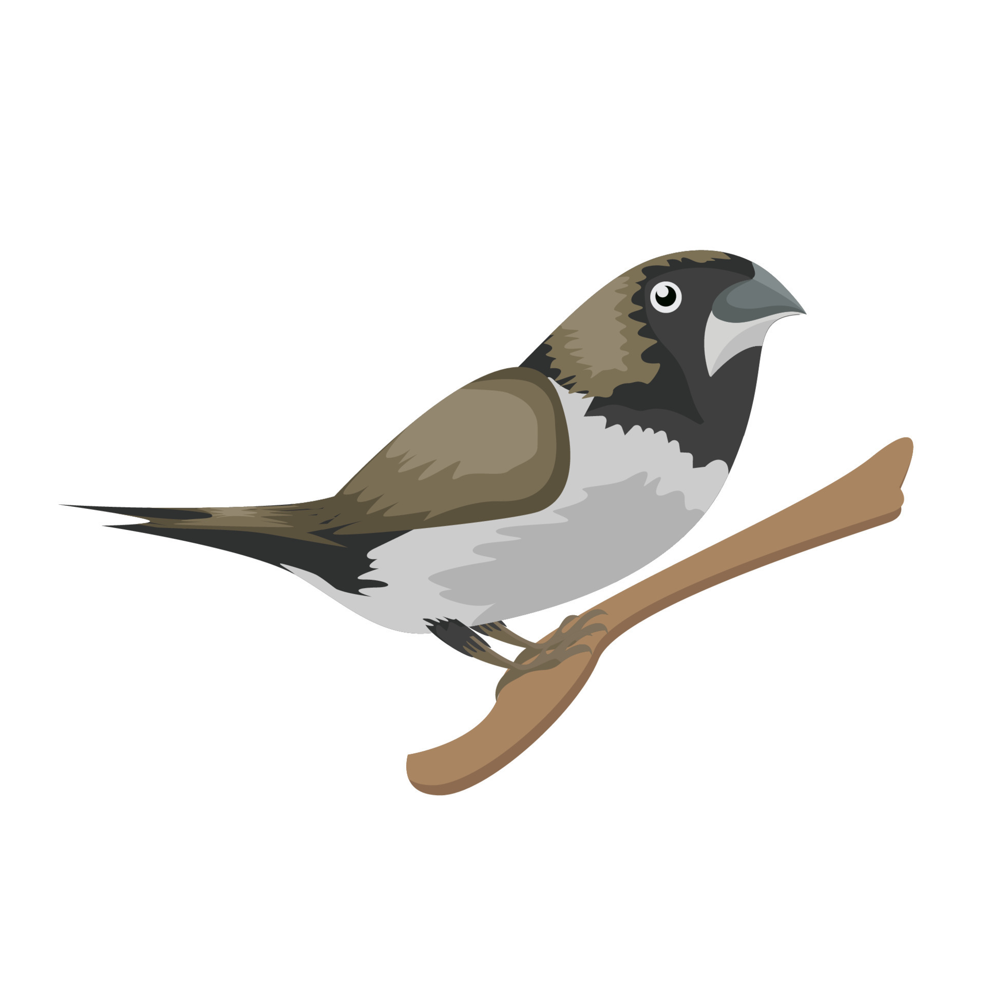 Cartoon sitting sparrow in flat design style. simple clipart for ... Cartoon sitting sparrow in flat design style. simple clipart for ...