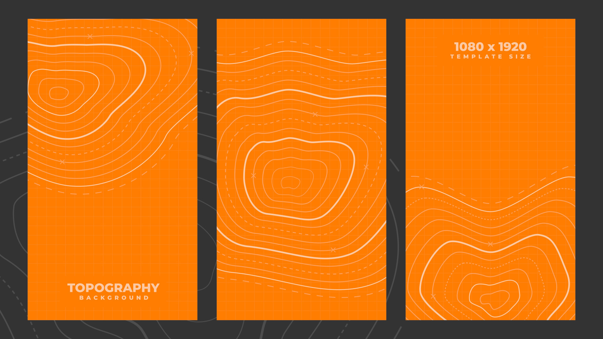 Topographic Line Contour Background Vertical Banner Of Topography