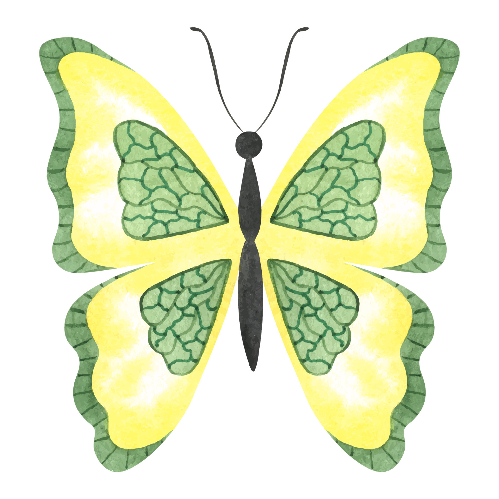 Watercolor Butterfly Hand Drawn Cartoon Cute Yellow And Green Butterfly Illustration Of A