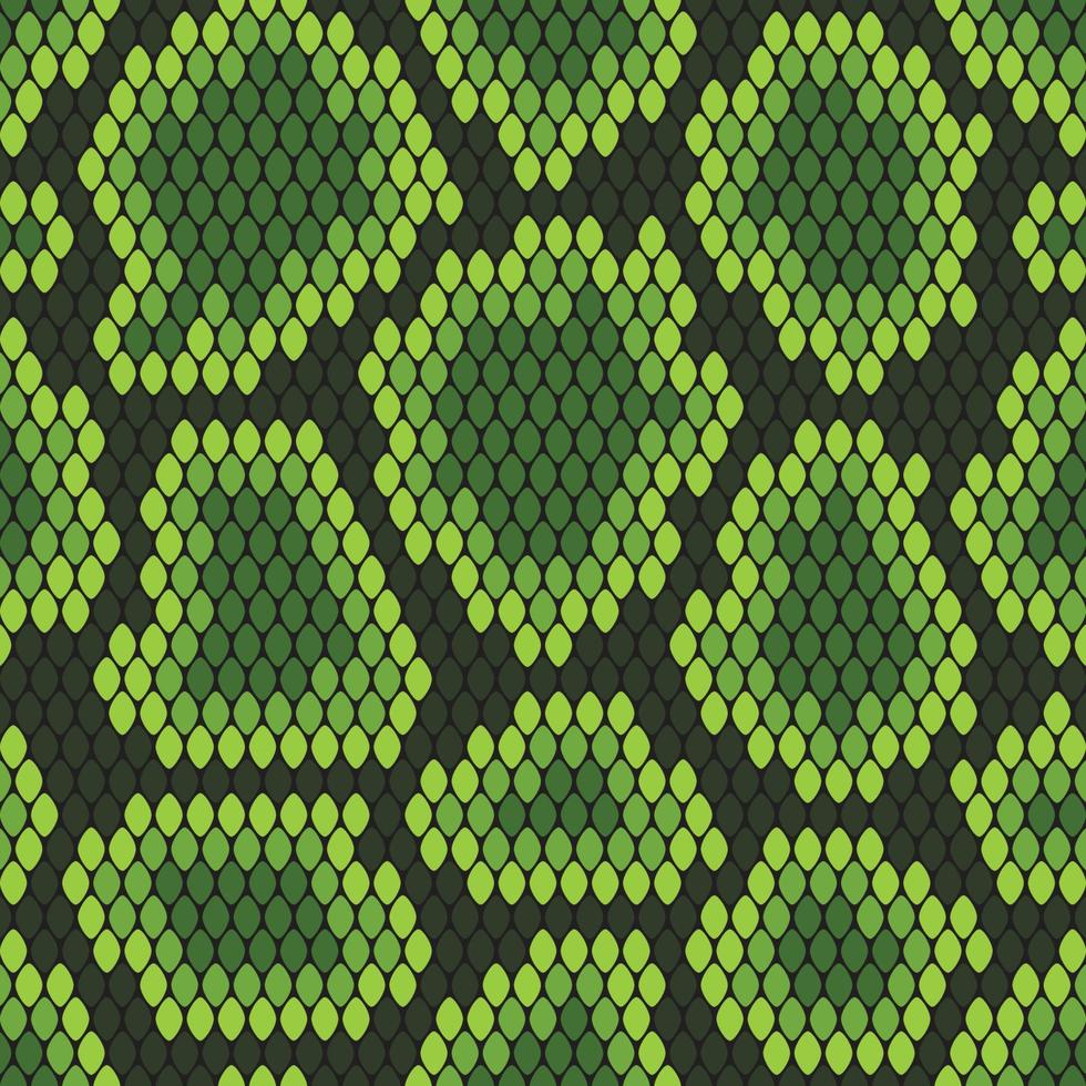 Descubrir Más De 64 Fondo Serpiente Mejor Vn