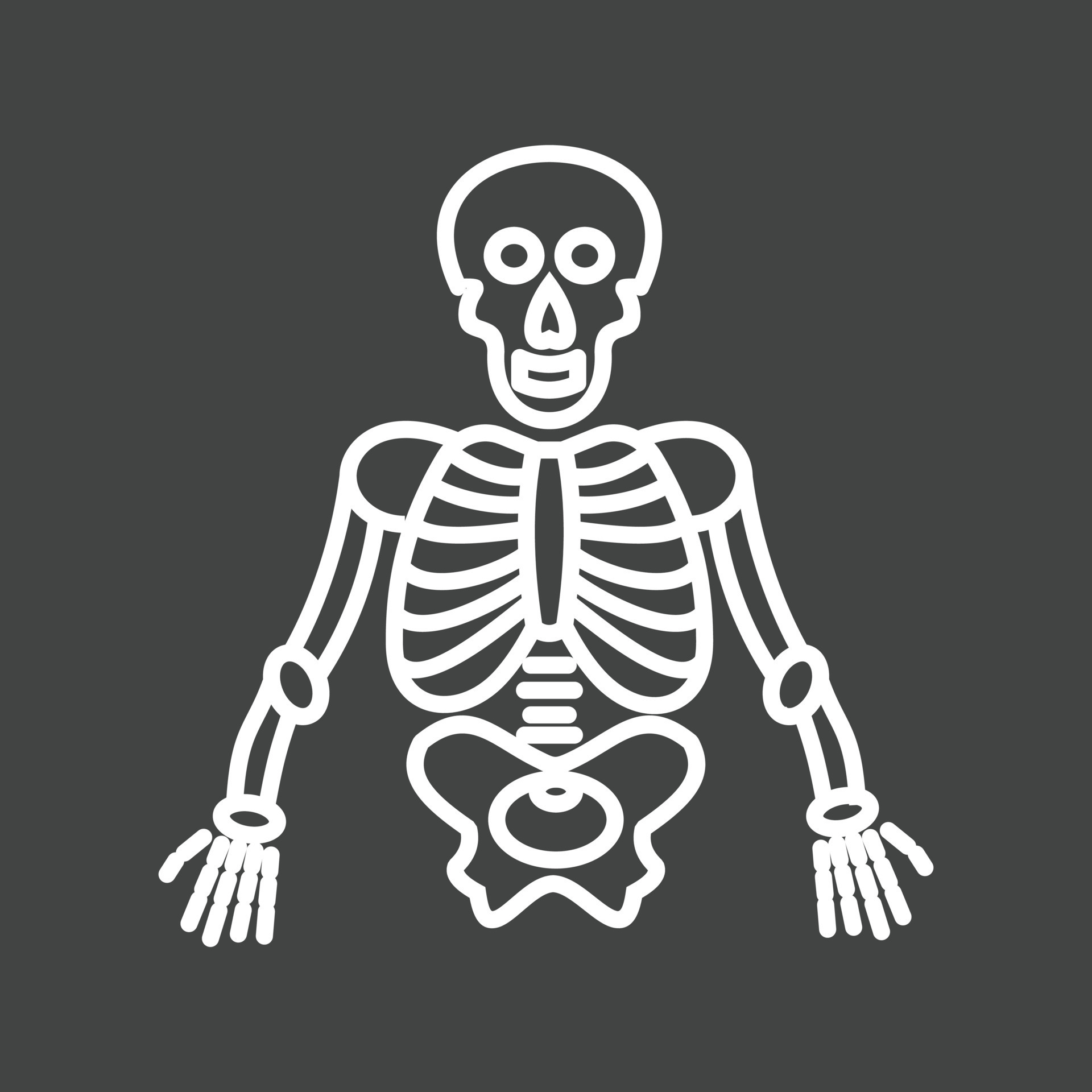Human Skeleton Line Inverted Icon 14997500 Vector Art at Vecteezy