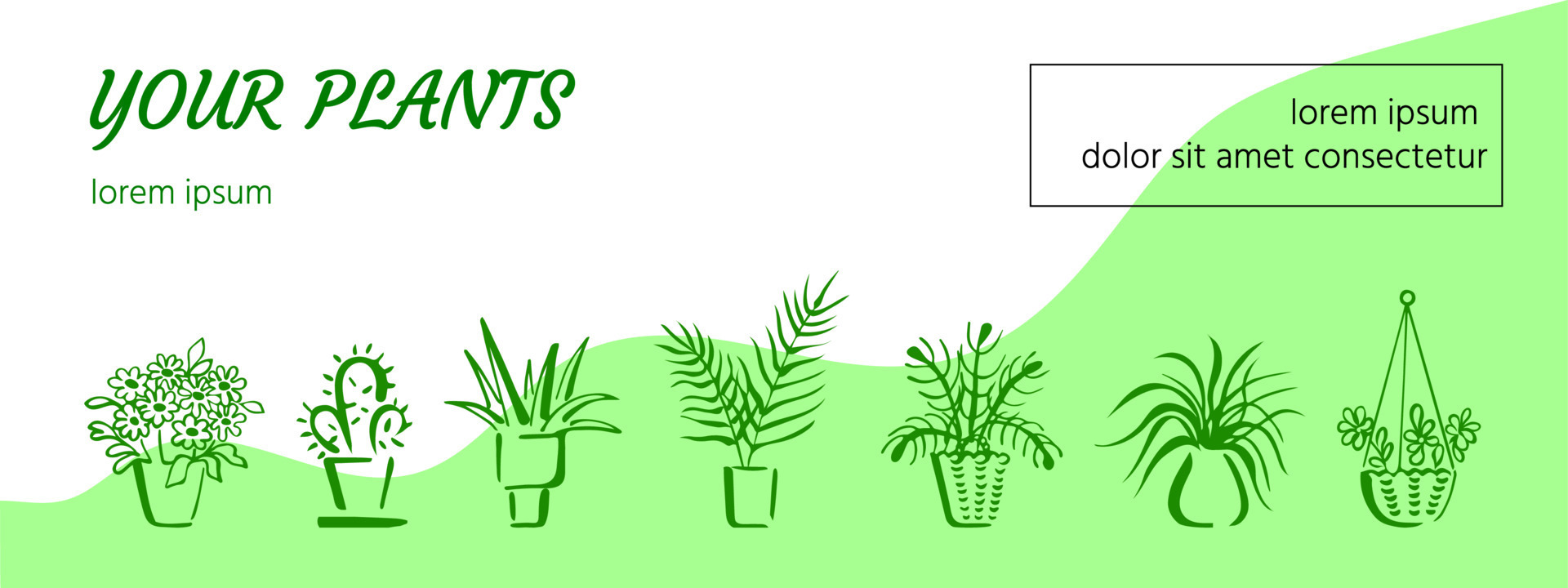 Green banner or header with various potted room plants. Sketchy vector ...