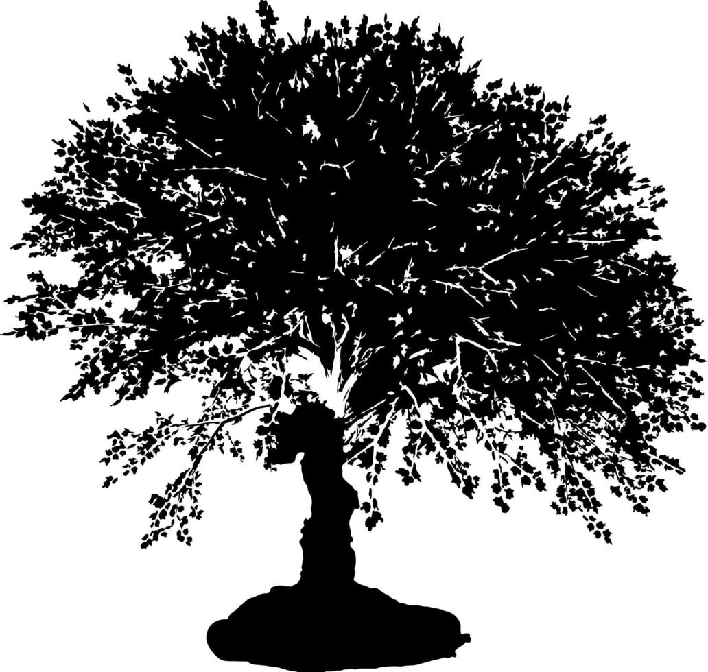 Silhouette of trees for the website, for printing. Vector graphics ...