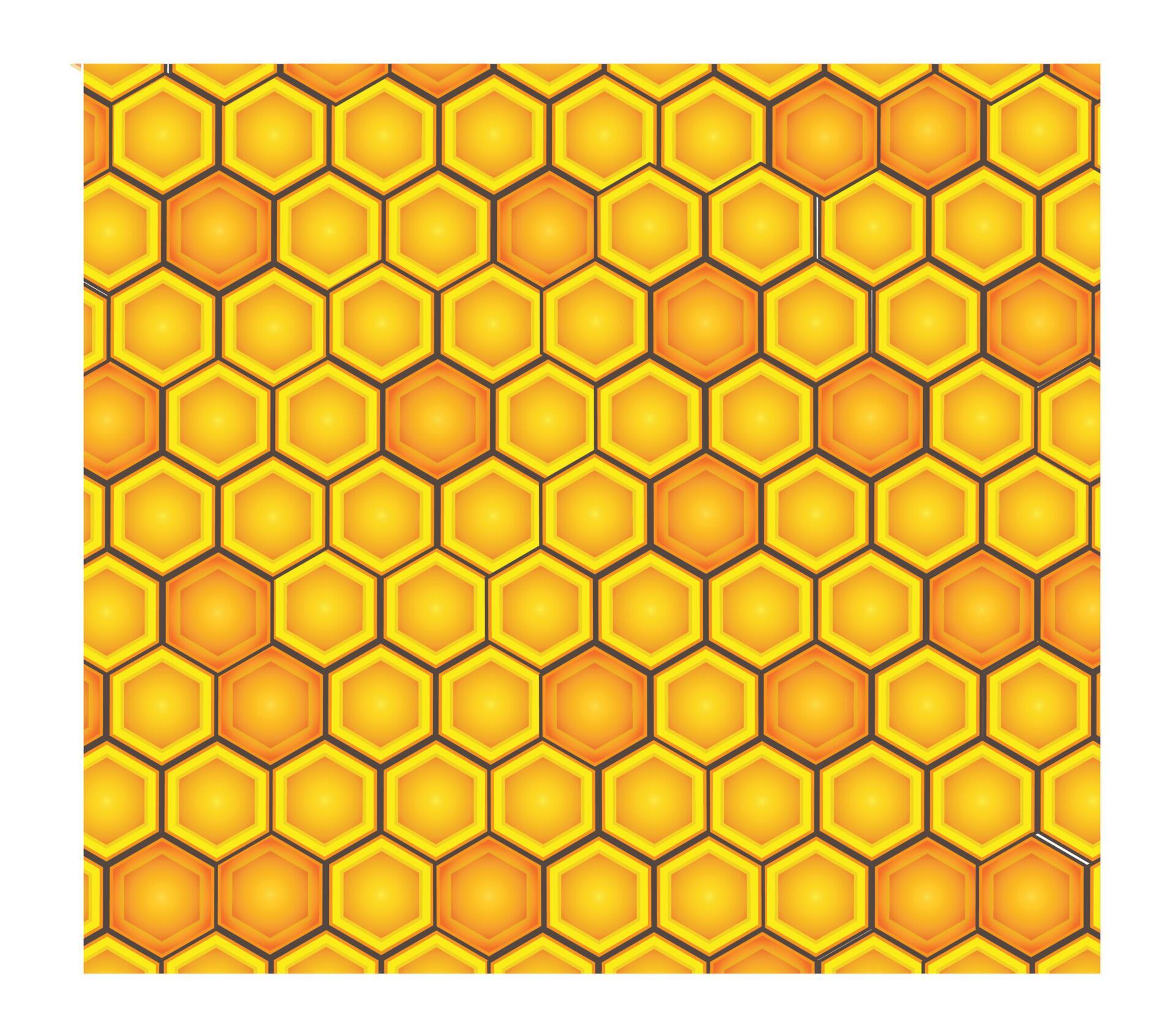 Bee hive illustration 15025226 Vector Art at Vecteezy