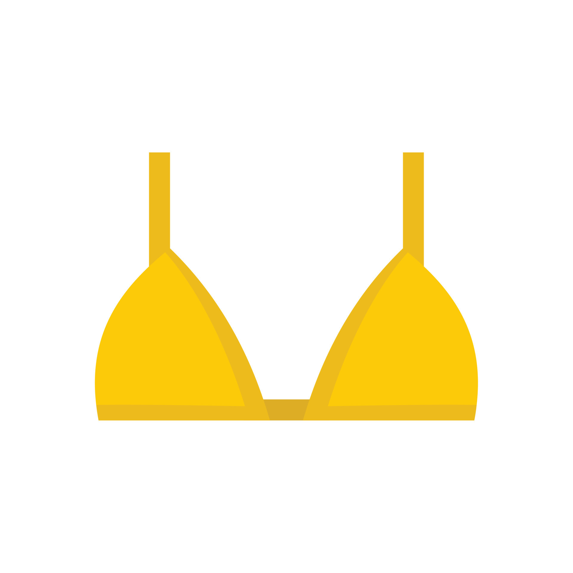 Lady Bra Icon Flat Isolated Vector 15030369 Vector Art At Vecteezy