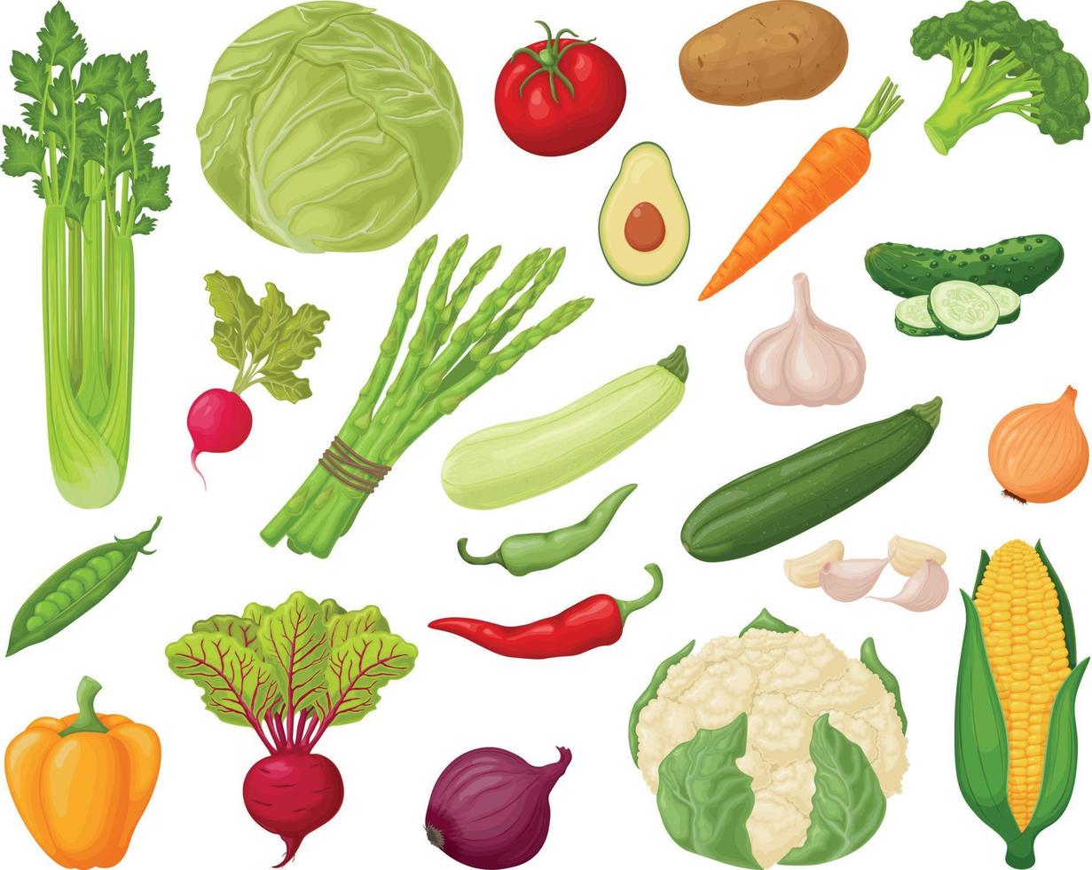 conjunto de verduras. una gran colección de verduras, como apio ... conjunto de verduras. una gran colección de verduras, como apio ...