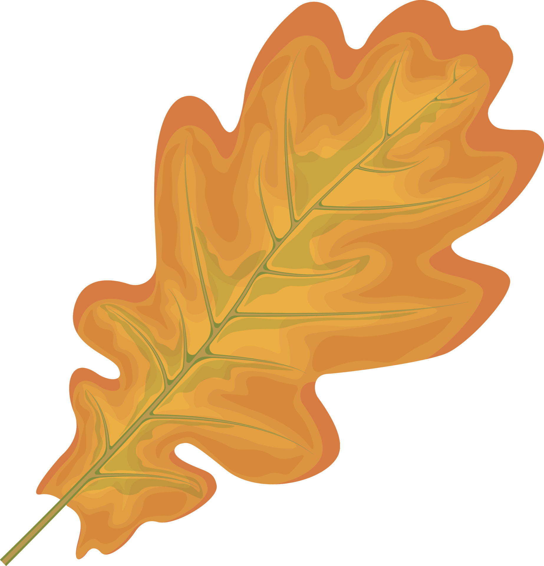 Oak Leaf Yellow Autumn Oak Leaf Oak Tree Leaf Autumn Vector Illustration Isolated On A White