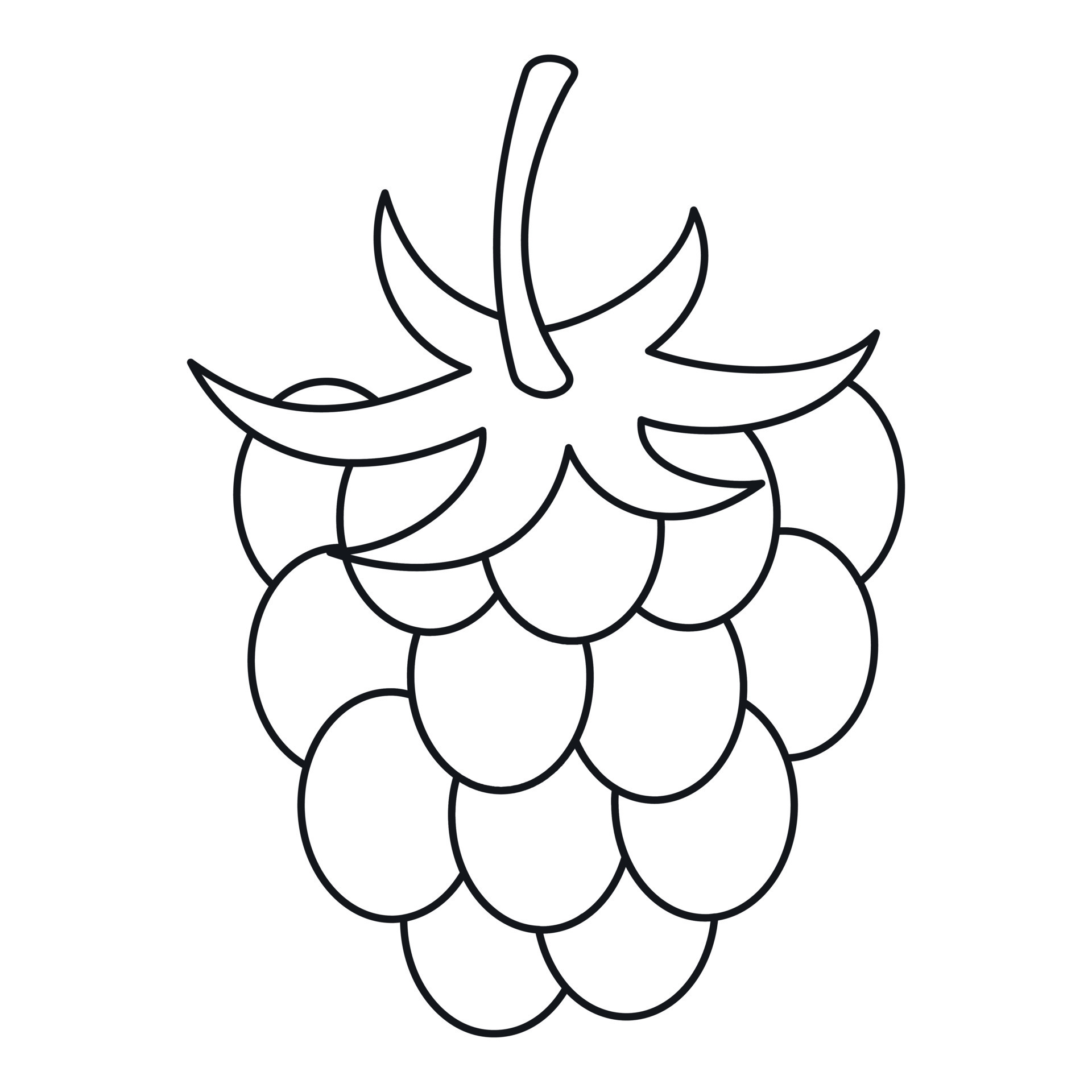 Raspberry icon, outline style 15041599 Vector Art at Vecteezy Raspberry icon, outline style 15041599 Vector Art at Vecteezy