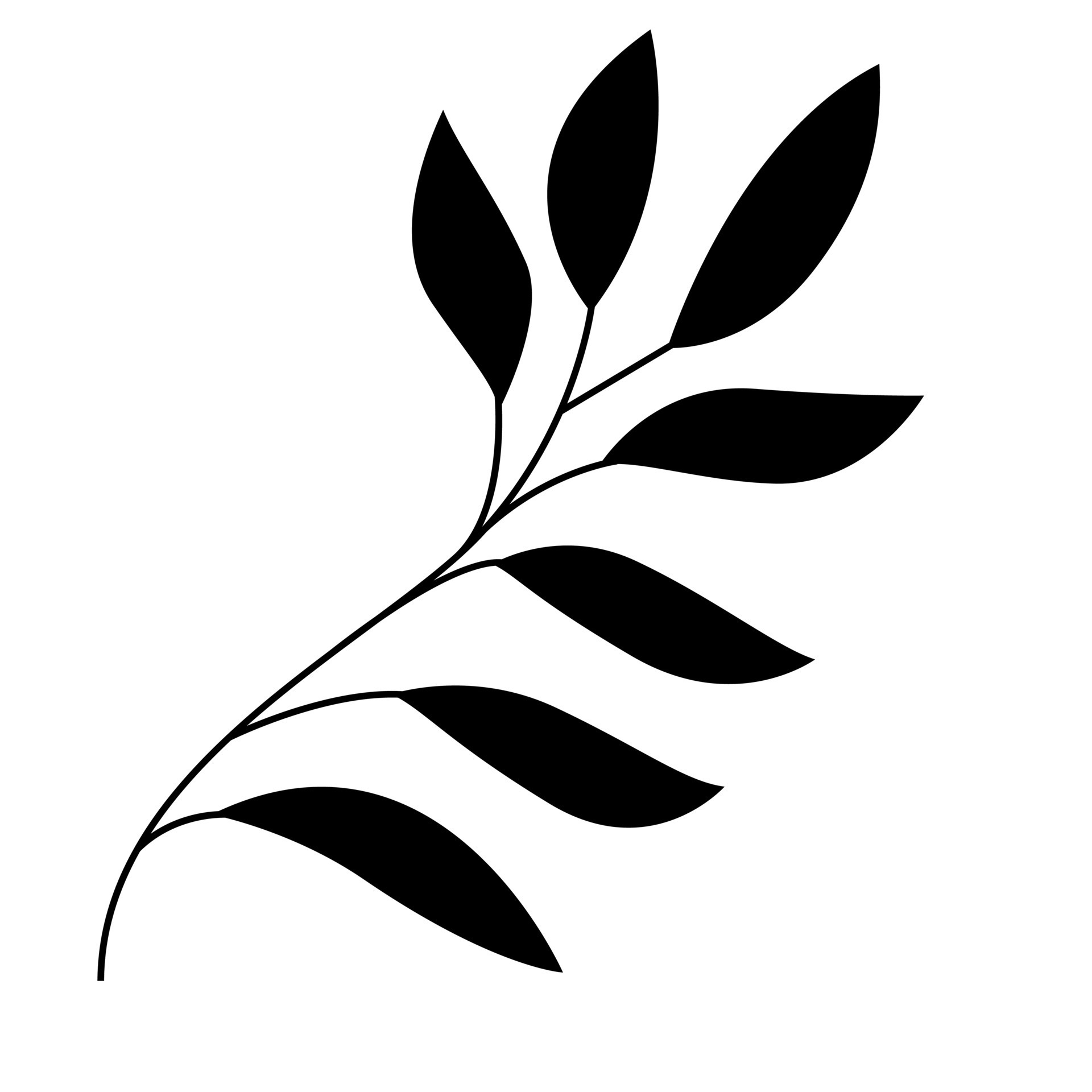 Black silhouette of a branch with leaves on a transparent isolated ... Black silhouette of a branch with leaves on a transparent isolated ...