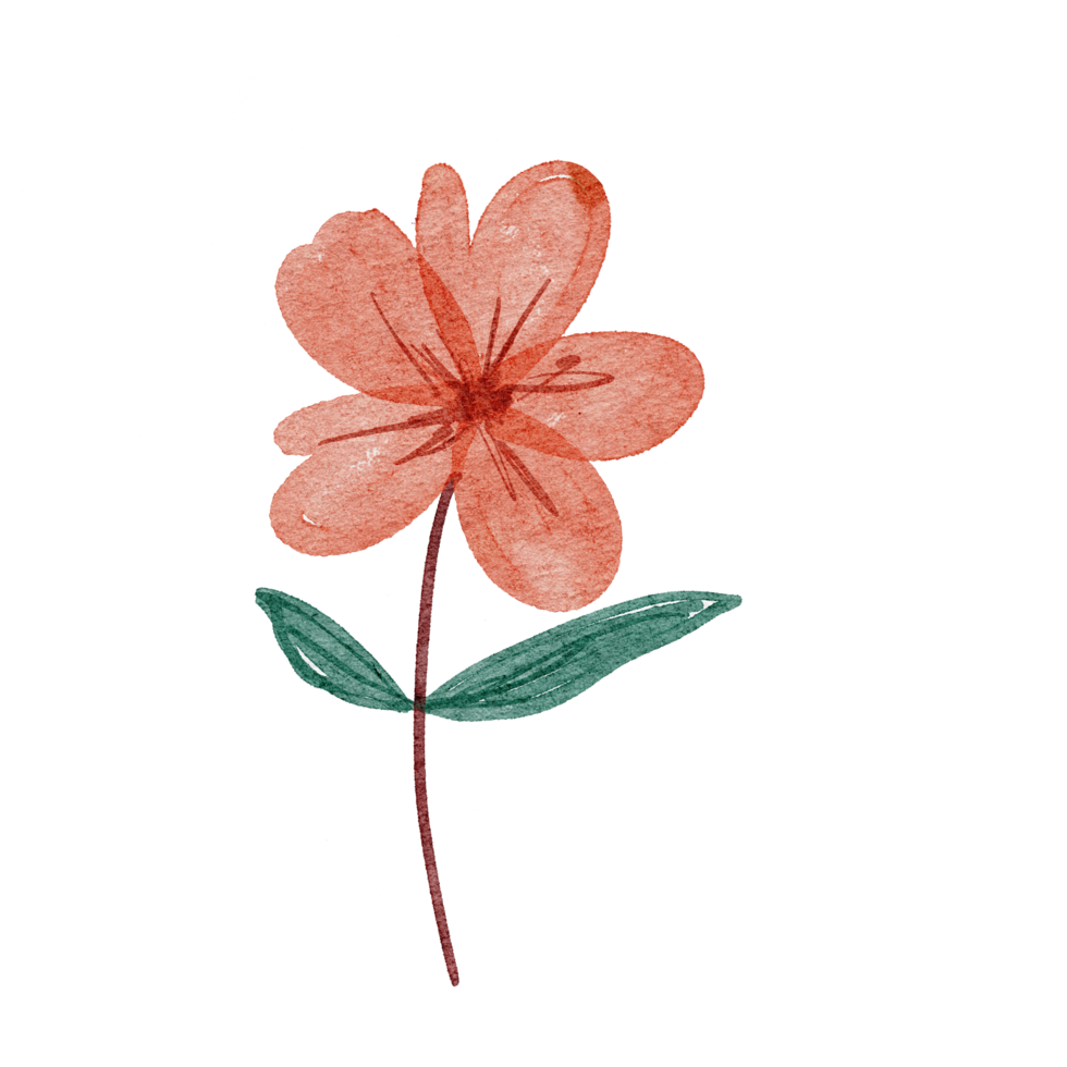Abstract Flower Watercolor Elements 15084513 Png