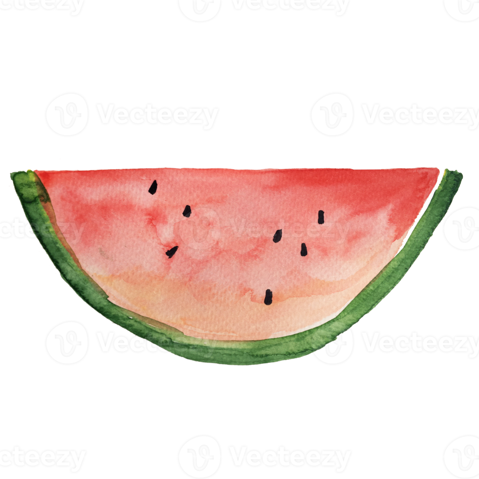 Watermelon Watercolor Elements 15085996 Png