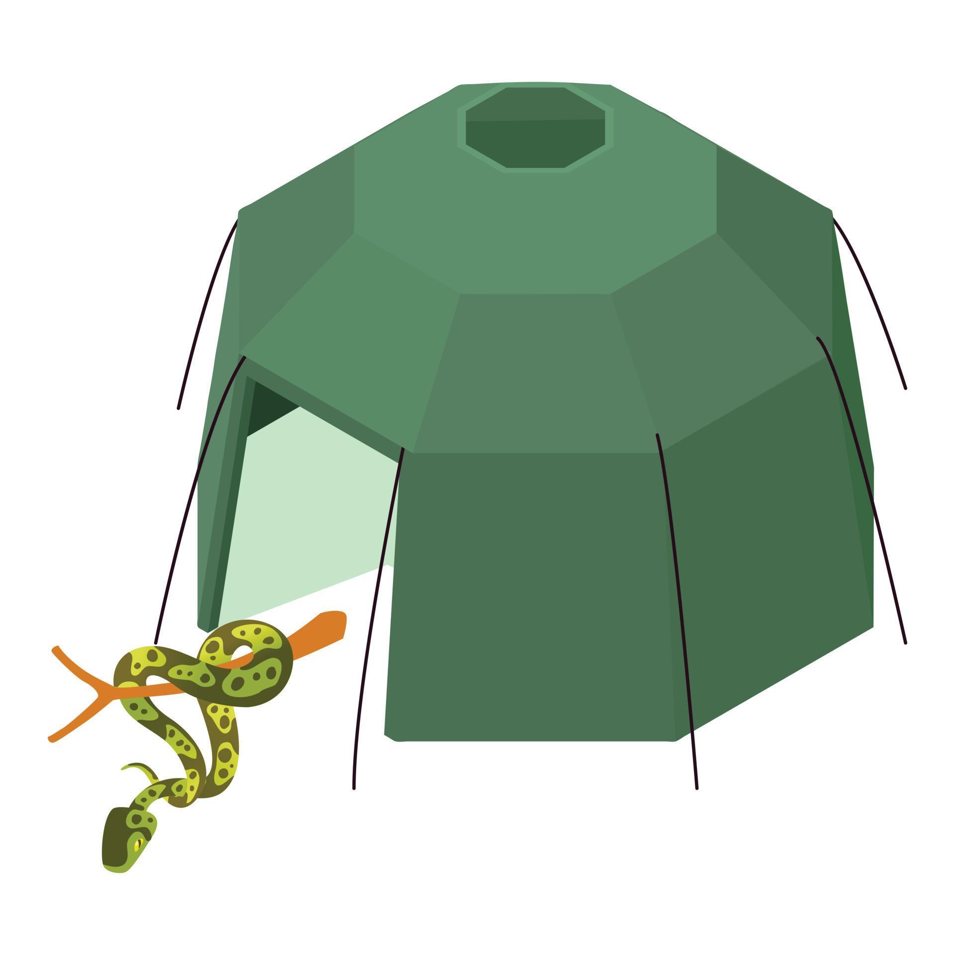 Green python icon isometric vector. Tree python near green military ...