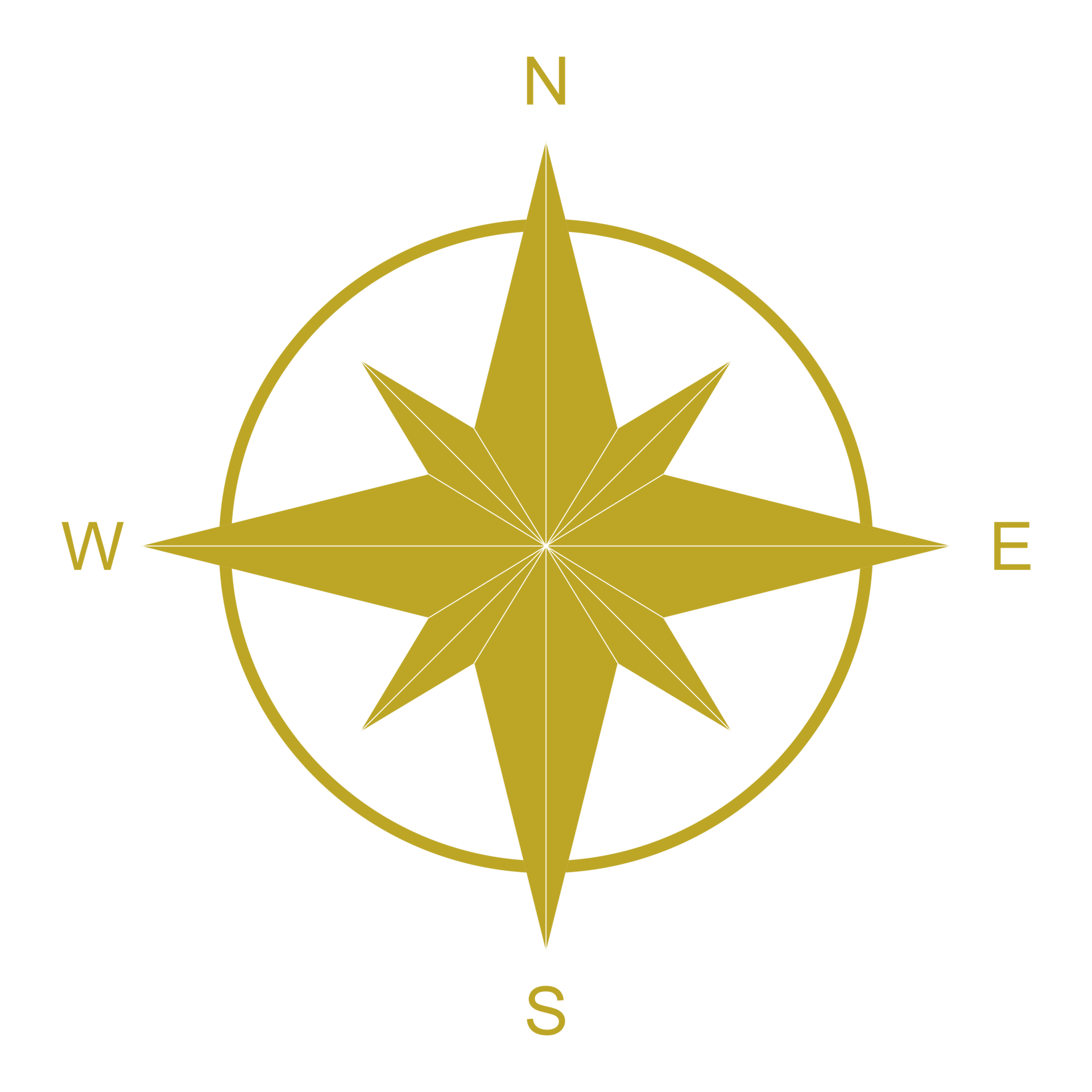 Compass Silhouette For Icon Symbol Apps Website Pictogram Art