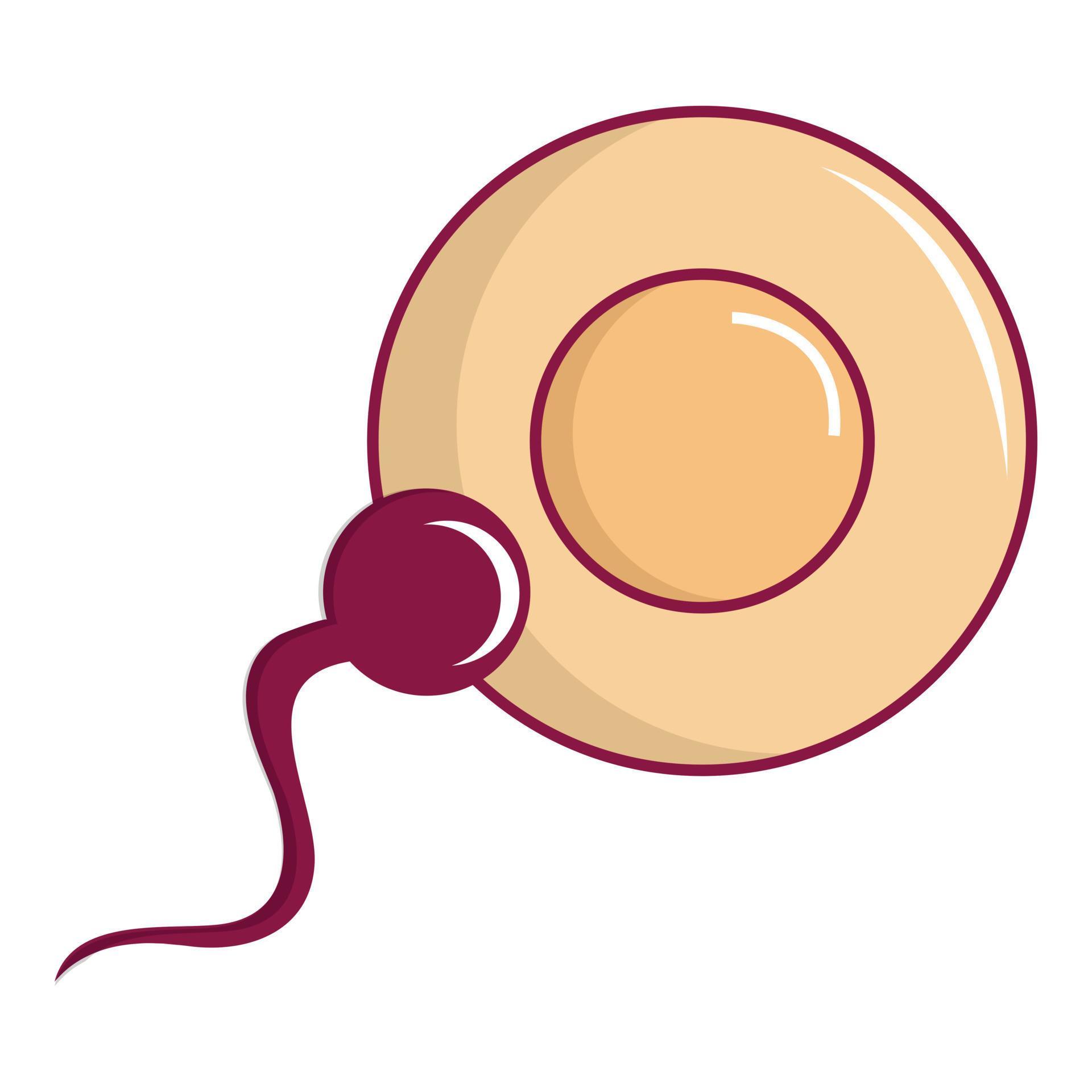 Human Fertilization Icon Cartoon Style 15096294 Vector Art At Vecteezy
