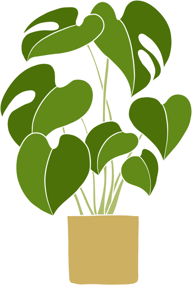 Conception Plate De Dessin à Main Levée De Plante De Monstera 15099812 Png