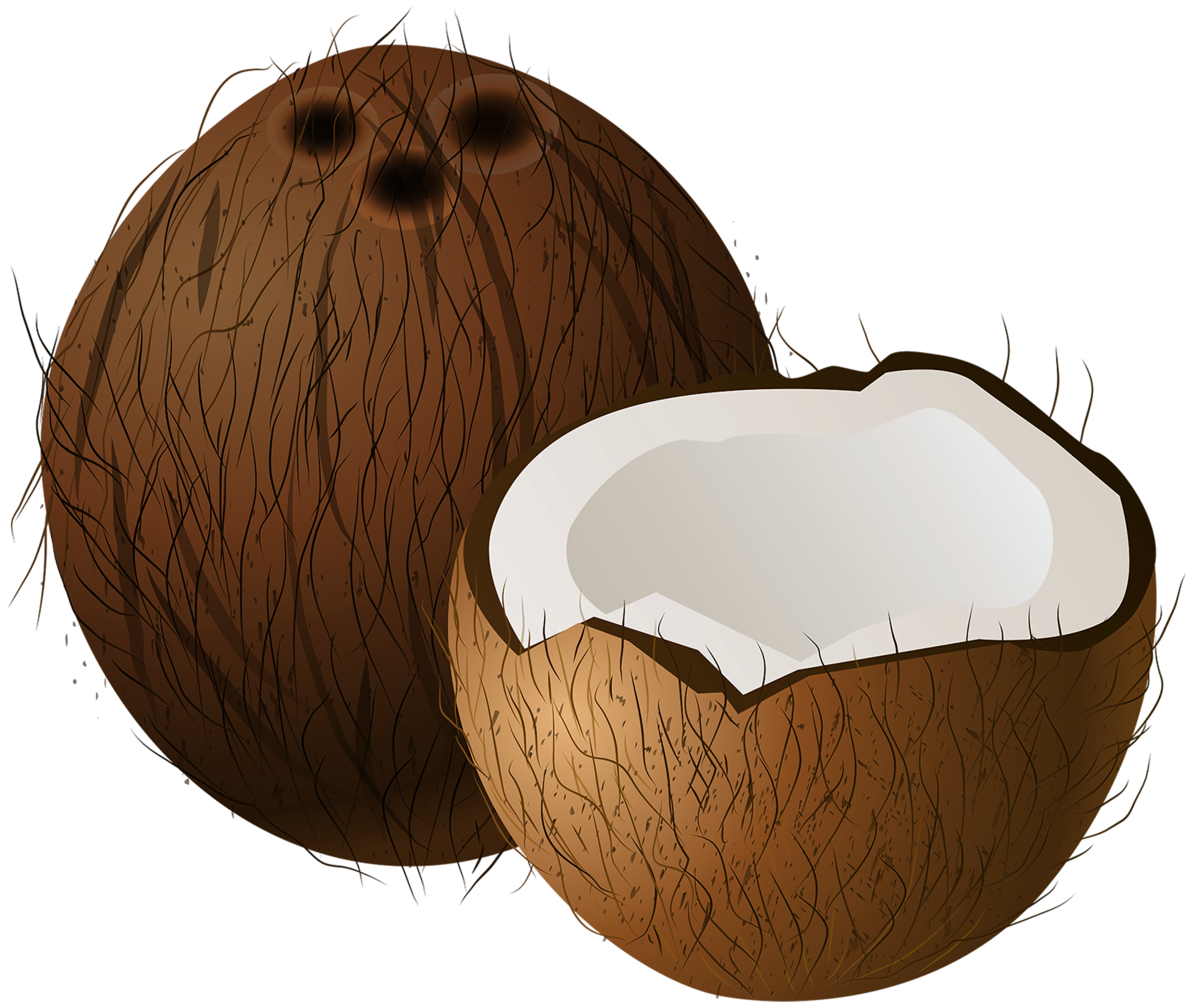 Coconuts Transparent Background 15100015 PNG Coconuts Transparent Background 15100015 PNG