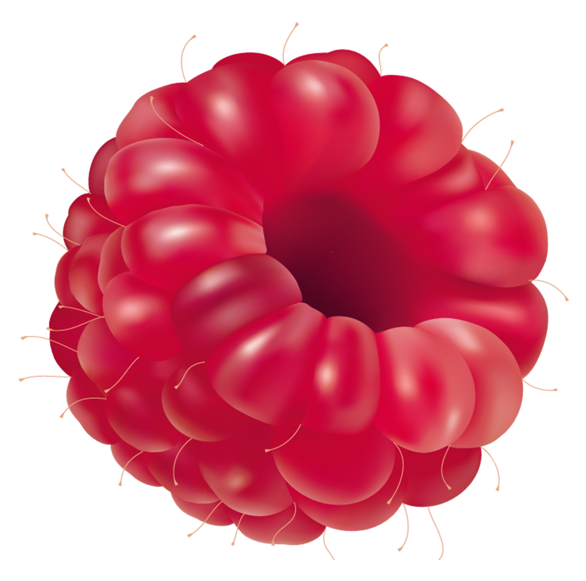 Raspberry Transparent Background 15100027 PNG Raspberry Transparent Background 15100027 PNG