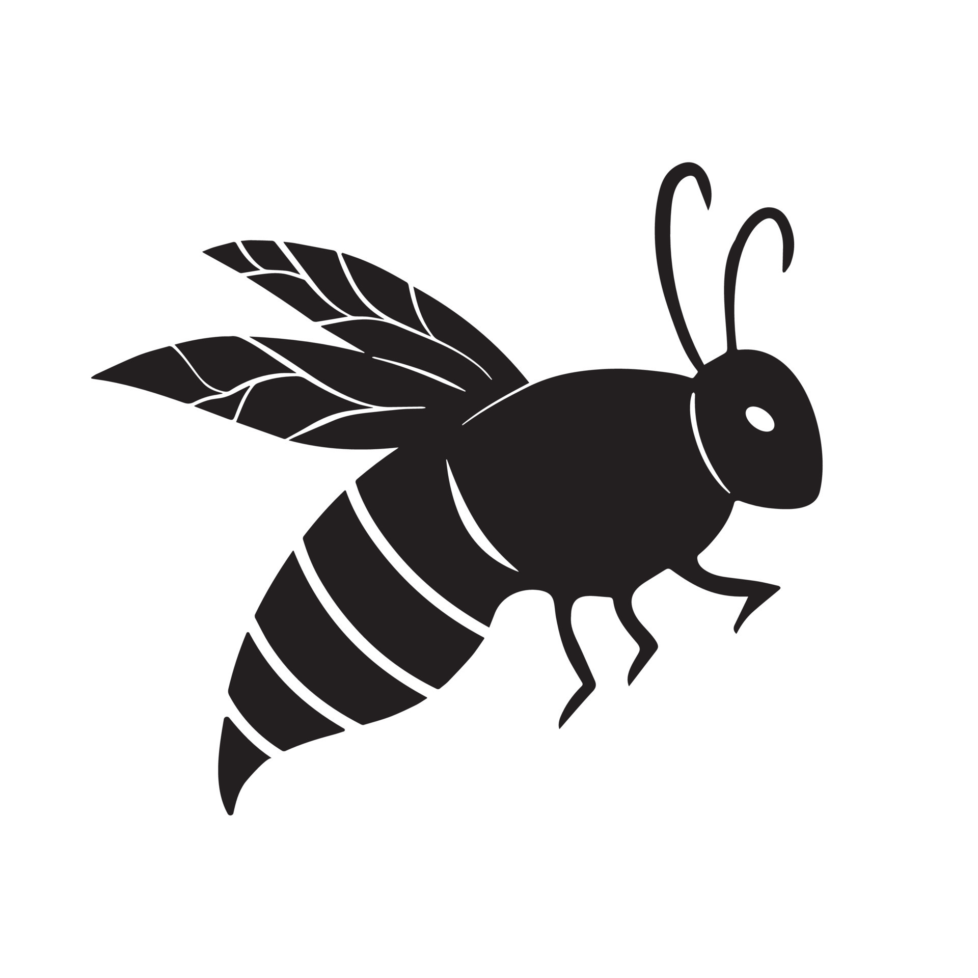 Bee or wasp icon vector silhouette isolated on plain white background ... Bee or wasp icon vector silhouette isolated on plain white background ...