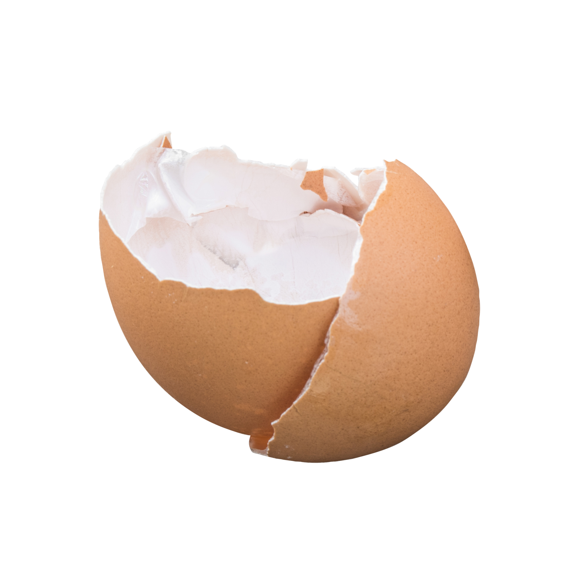 Broken Egg Shell Png Broken Egg Shell Png