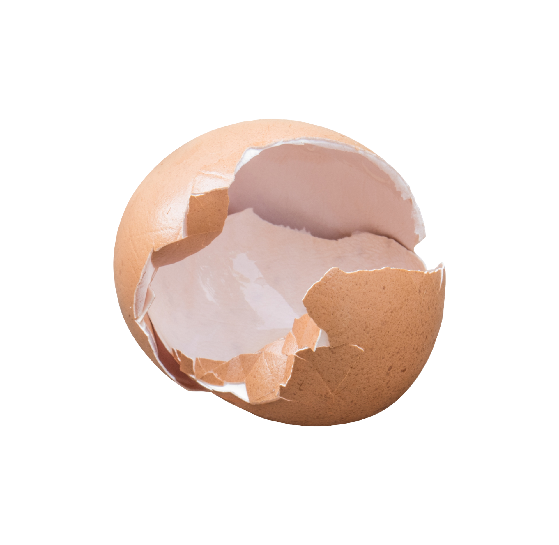 Broken Egg Shell Png Broken Egg Shell Png